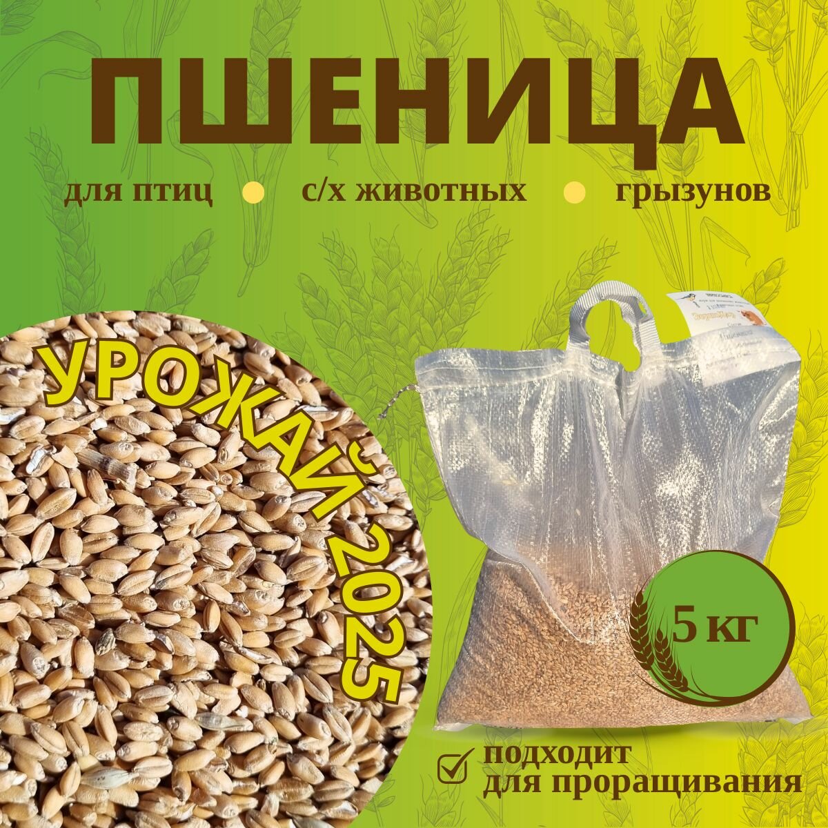 Пшеница 5кг. зерно