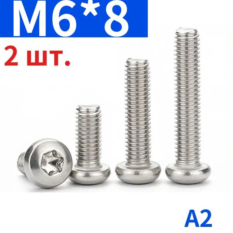 Винт M6 x 6 x 8 мм, головка: Круглая, 2 шт.