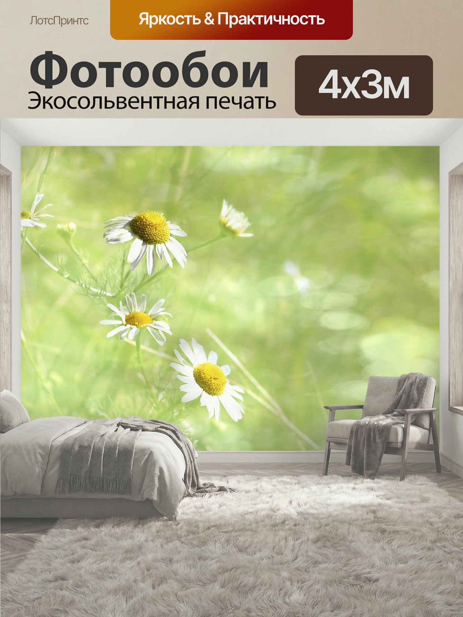 Фотообои "Ромашка, пляж ромашки, ложные ромашки" 400x300 см. экосольвентная печать