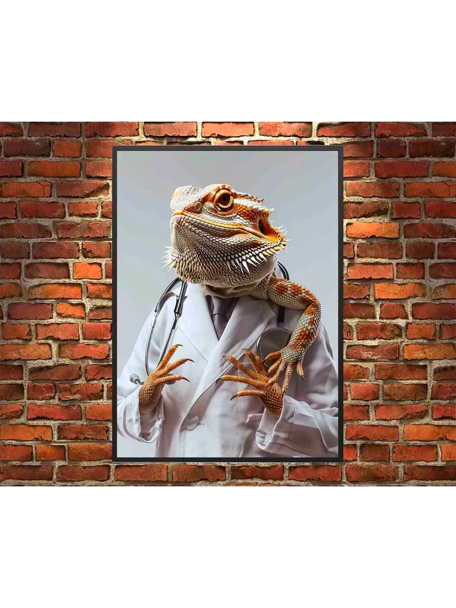 Бородатый Дракон-Животный доктор 1, Плакат 30x42см