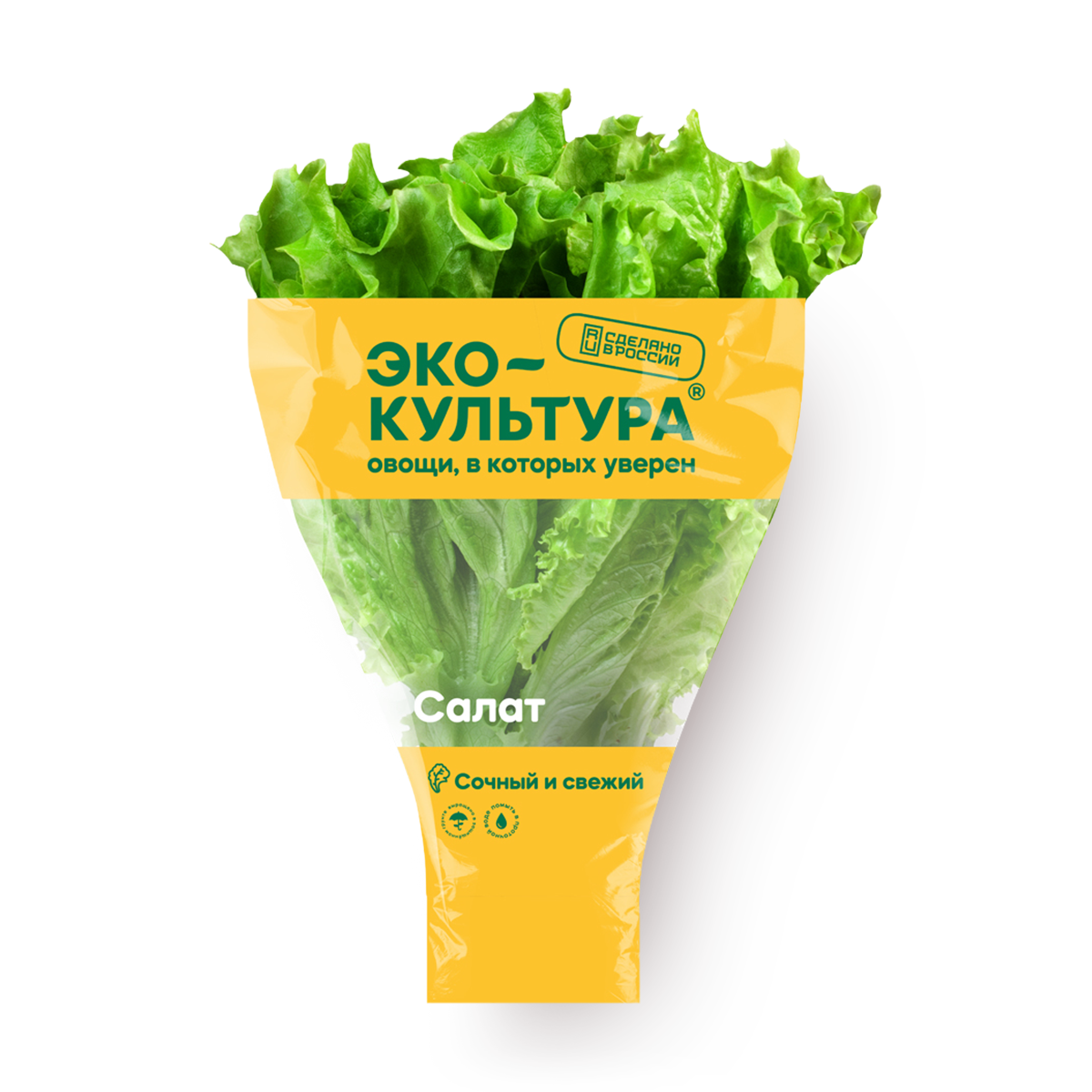 Салат Моё Лето Афицион, в горшочке, 1.4 г белка, 0.2 г жира, 1.9 г углеводов