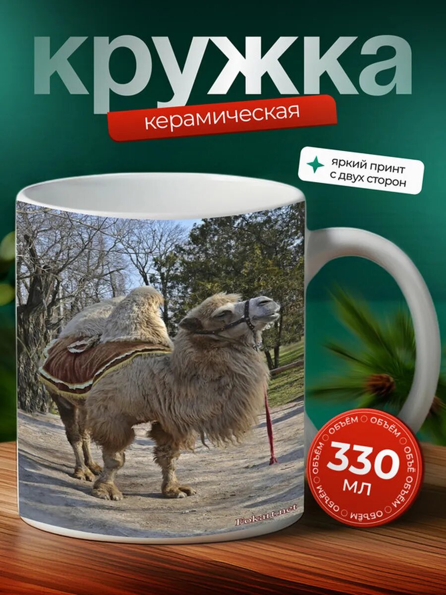 Кружка Верблюд животное 7,