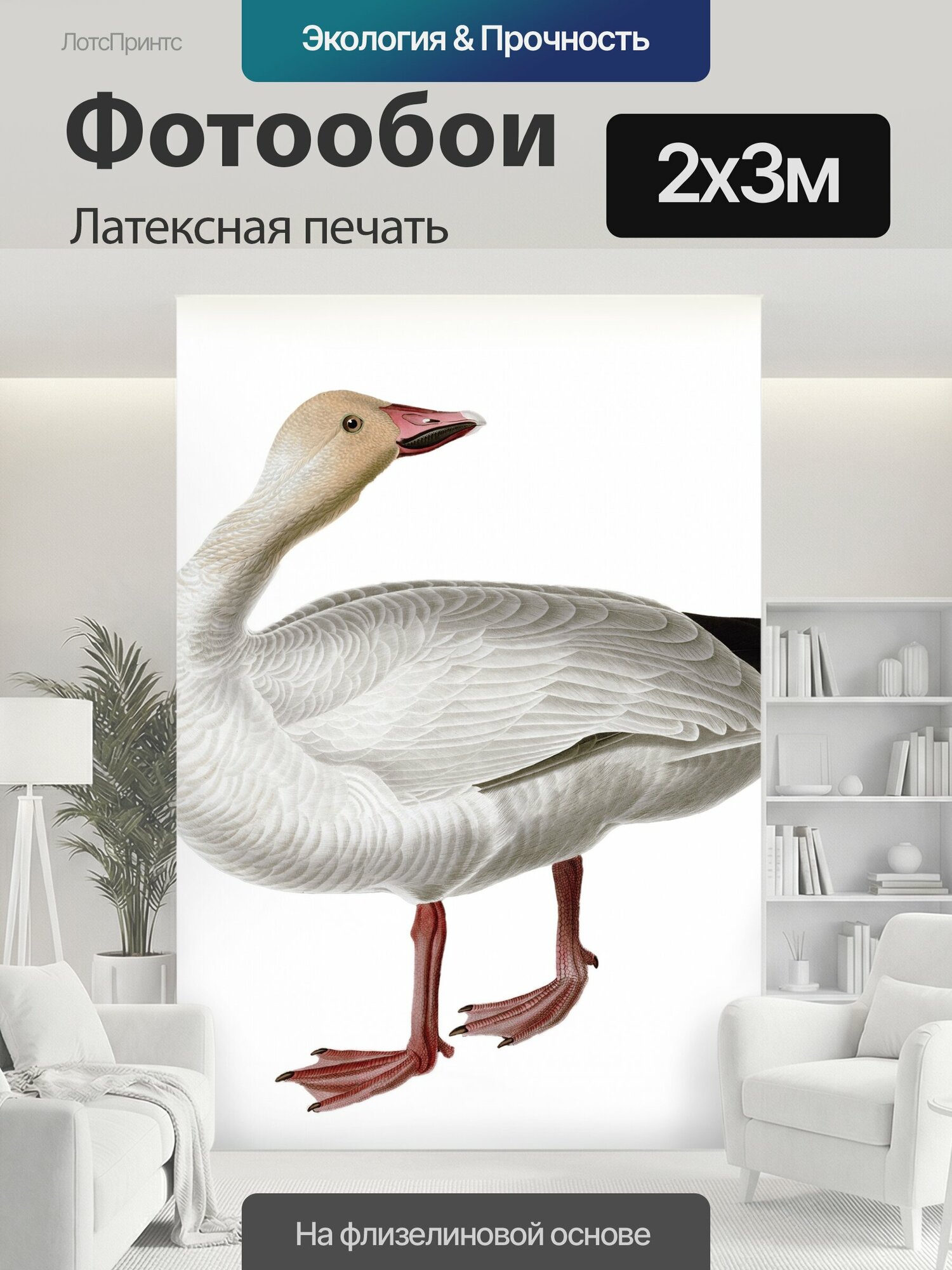 Фотообои моющиеся ударопрочные "Гусь Старинный рисунок Старинный рисунок гуся на белом фоне Гусь марочный Рисование Изобразительное искусство." 200x300 см. латексная печать