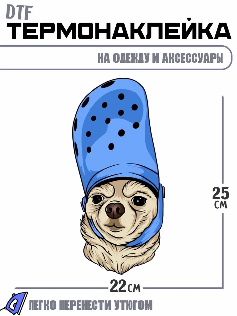 Термонаклейка Чихуахуа крокс