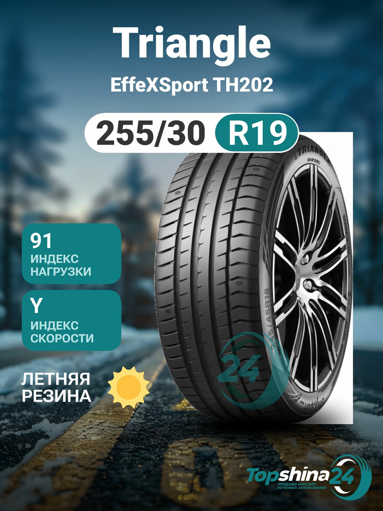 Шины летние Triangle EffeXSport TH202 255/30 R19 Y91