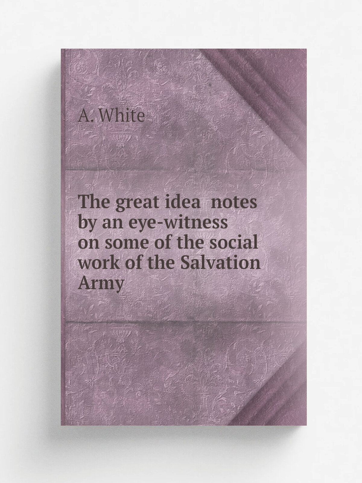 The great idea notes by an eye-witness on some of the social work of the Salvation Army