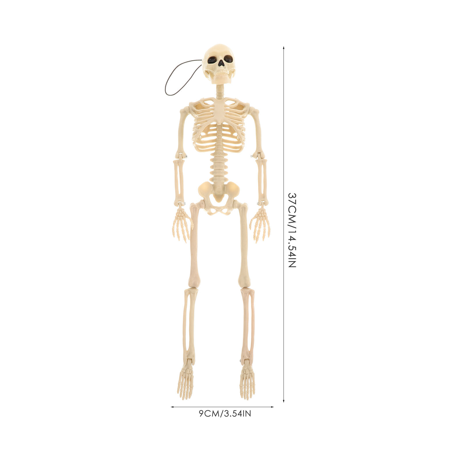 1 Штука Креативная Скелет Модель Декор Для Halloween 37.00X9.00X9.00Cm