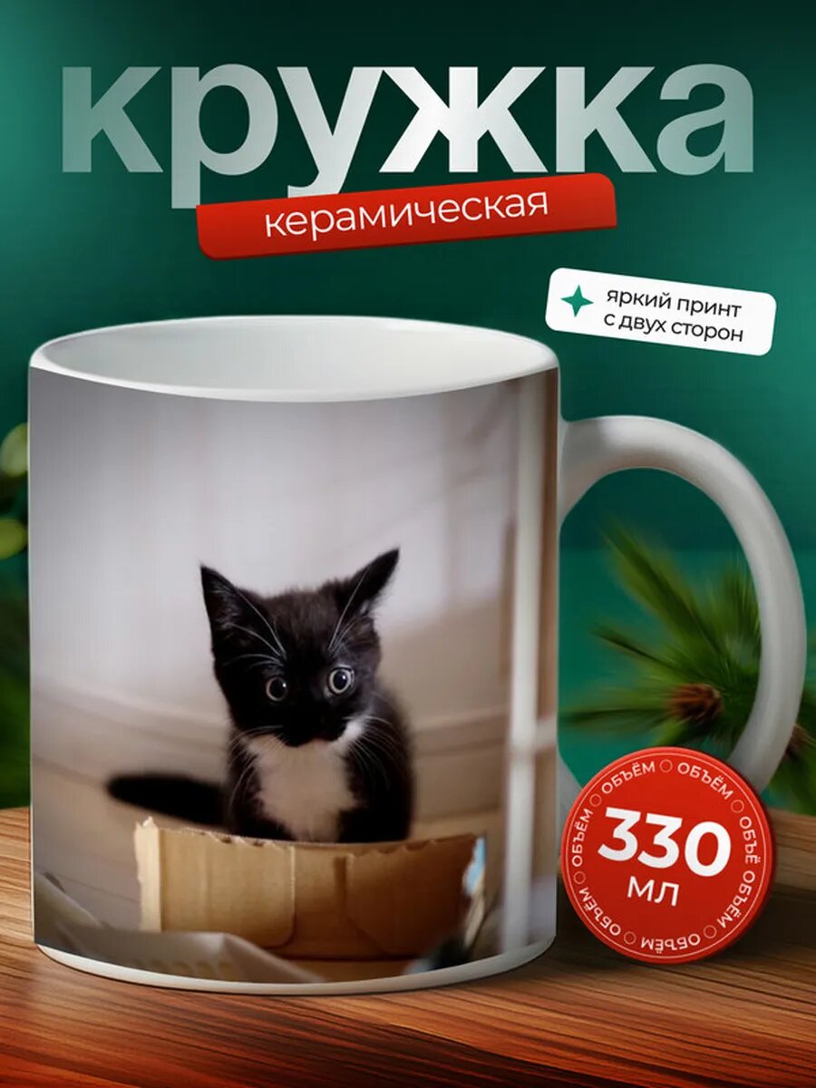 Кружка Сноу-шу кот 50,