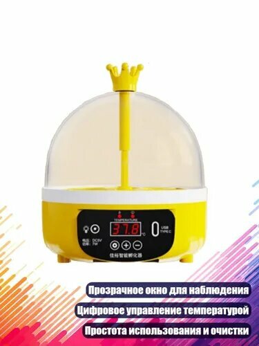 Инкубатор для яиц