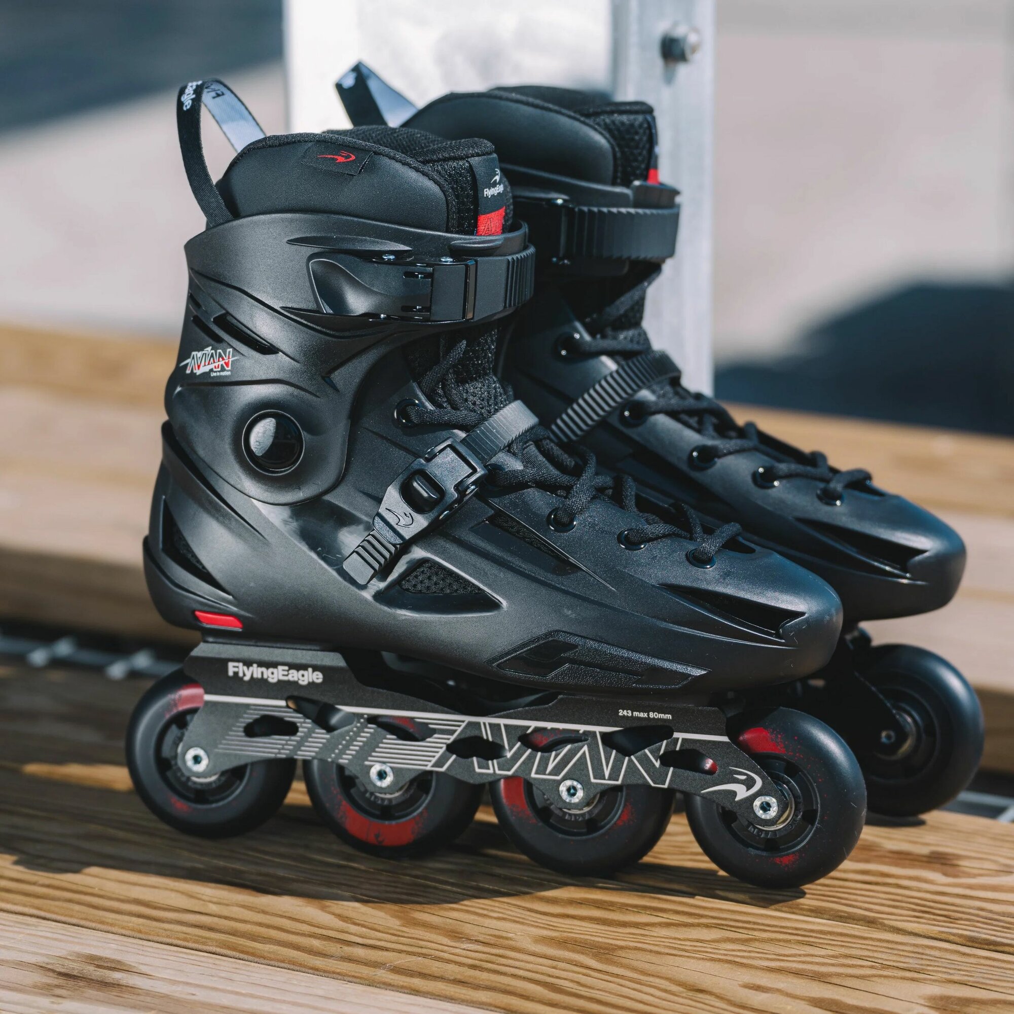 Роликовые коньки с жестким ботинком Flying Eagle Fast Blade Avian. Черные. Размер 34/35RU (35/36 EU).