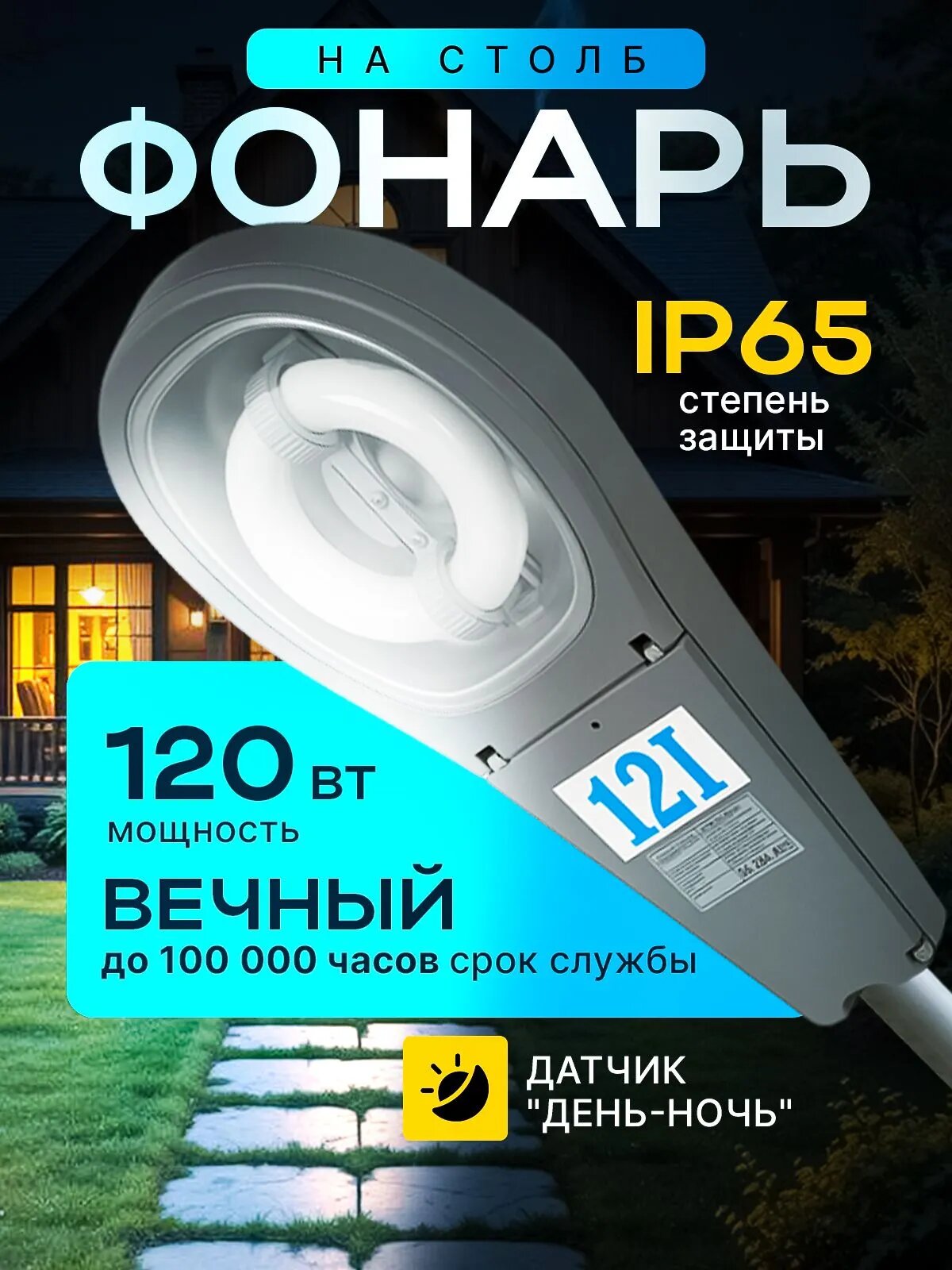 Уличный светильник На Тропе DLDL013-WJ120, индукционный, 120Вт, IP65, дневной свет