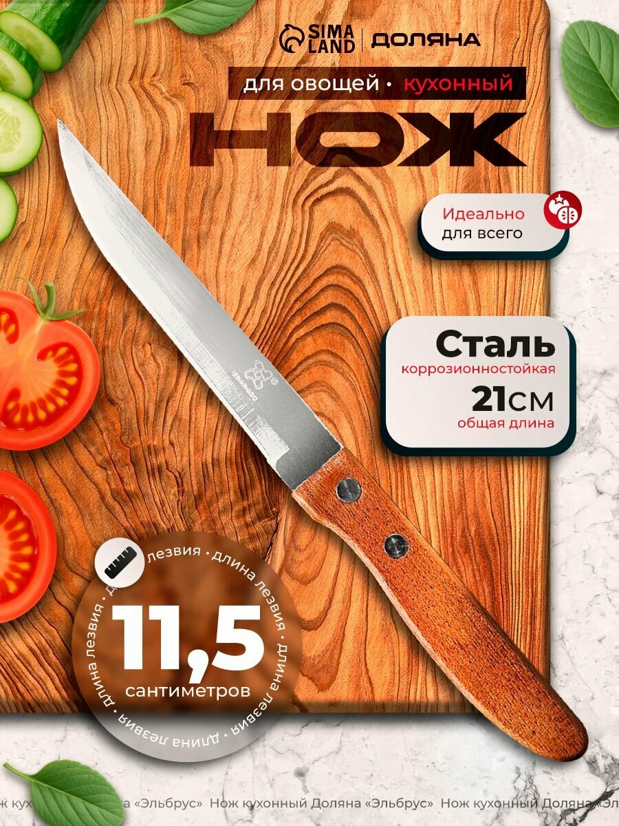 Нож кухонный универсальный Доляна, длина лезвия 11.5 см, нержавеющая сталь универсальный кухонный нож нож из нержавеющей стали лезвие 11.5 см