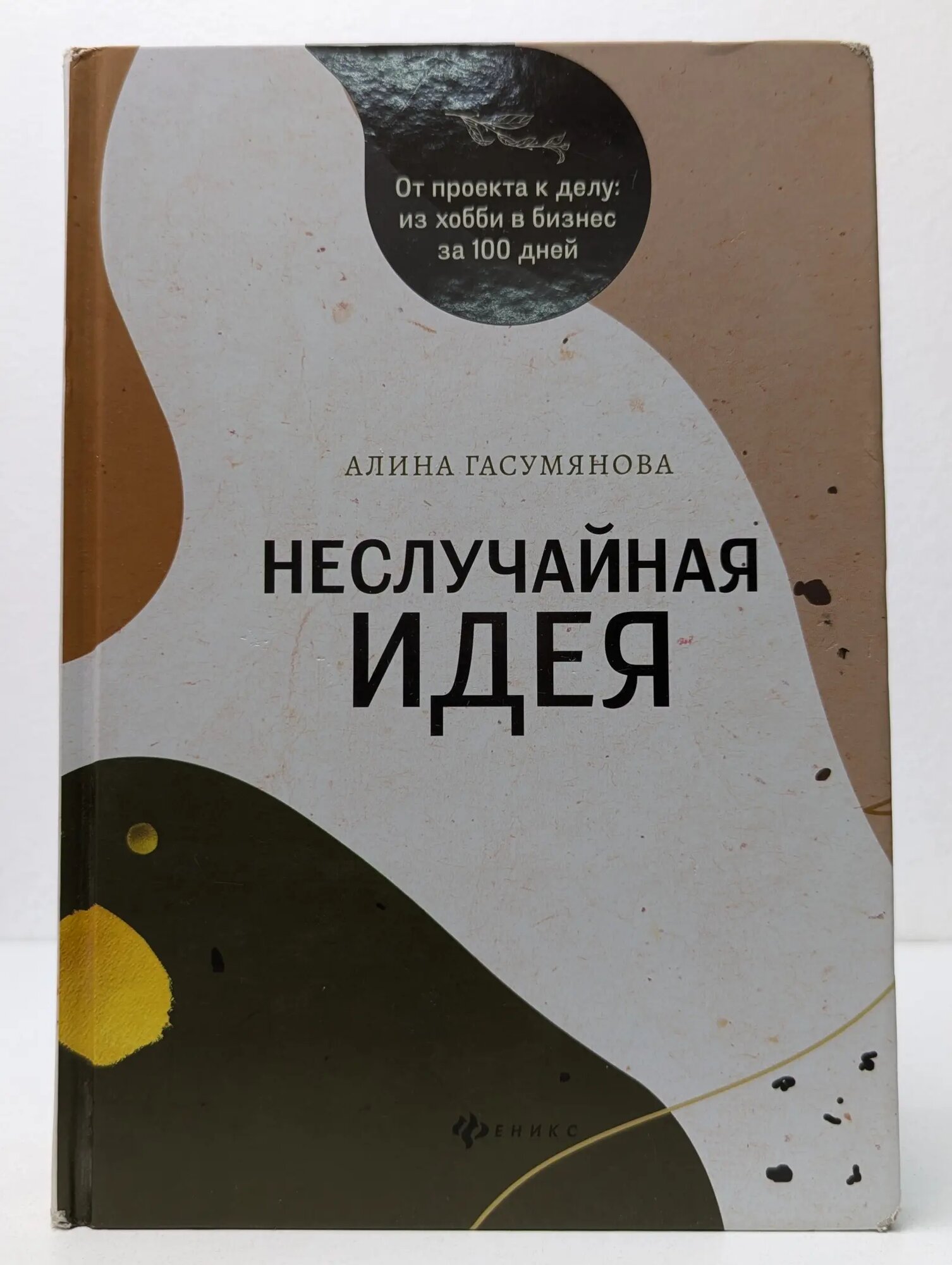 Вершина Неслучайная идея. Из хобби в бизнес за 100 дней Гасумянова Алина Владиславовна 2021