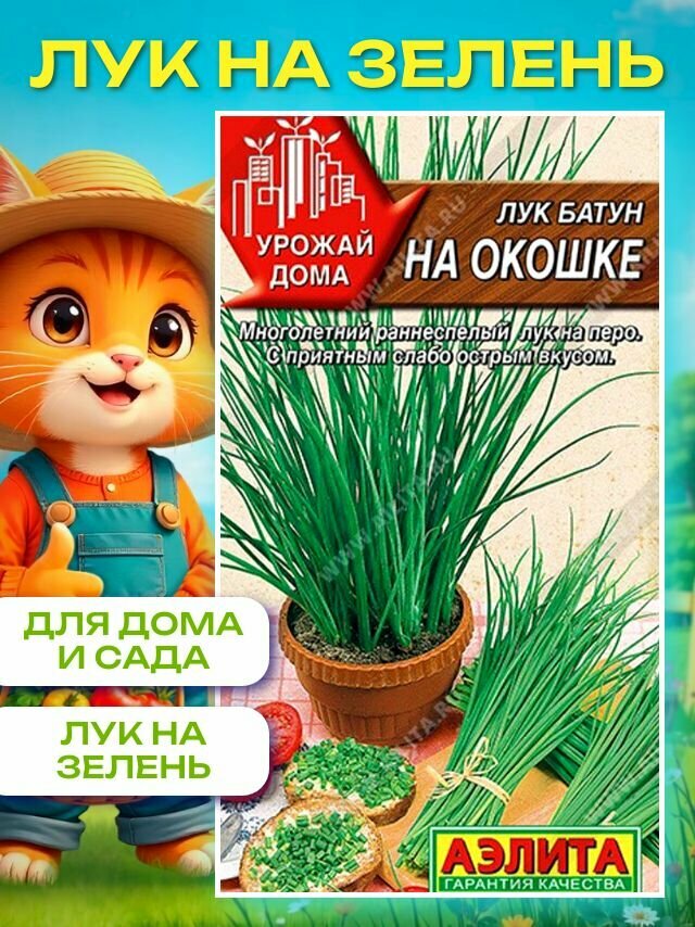 Лук батун На окошке, семена лука на зелень Агрофирма аэлита 0,3г для зелени на перо для выращивания дома