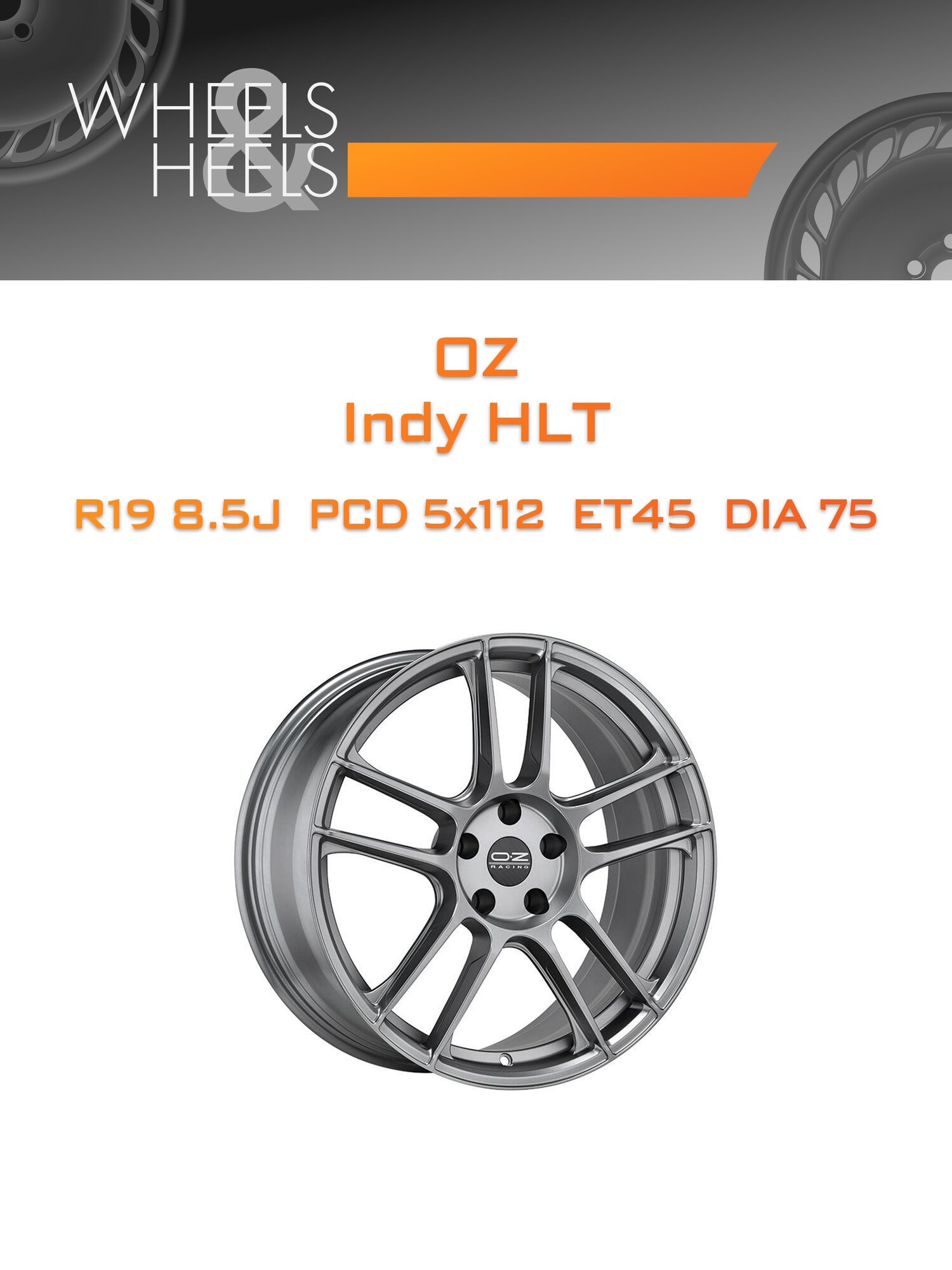 Диск автомобильный литой OZ Indy HLT 19x8.5 5x112 et45 dia75 Серый