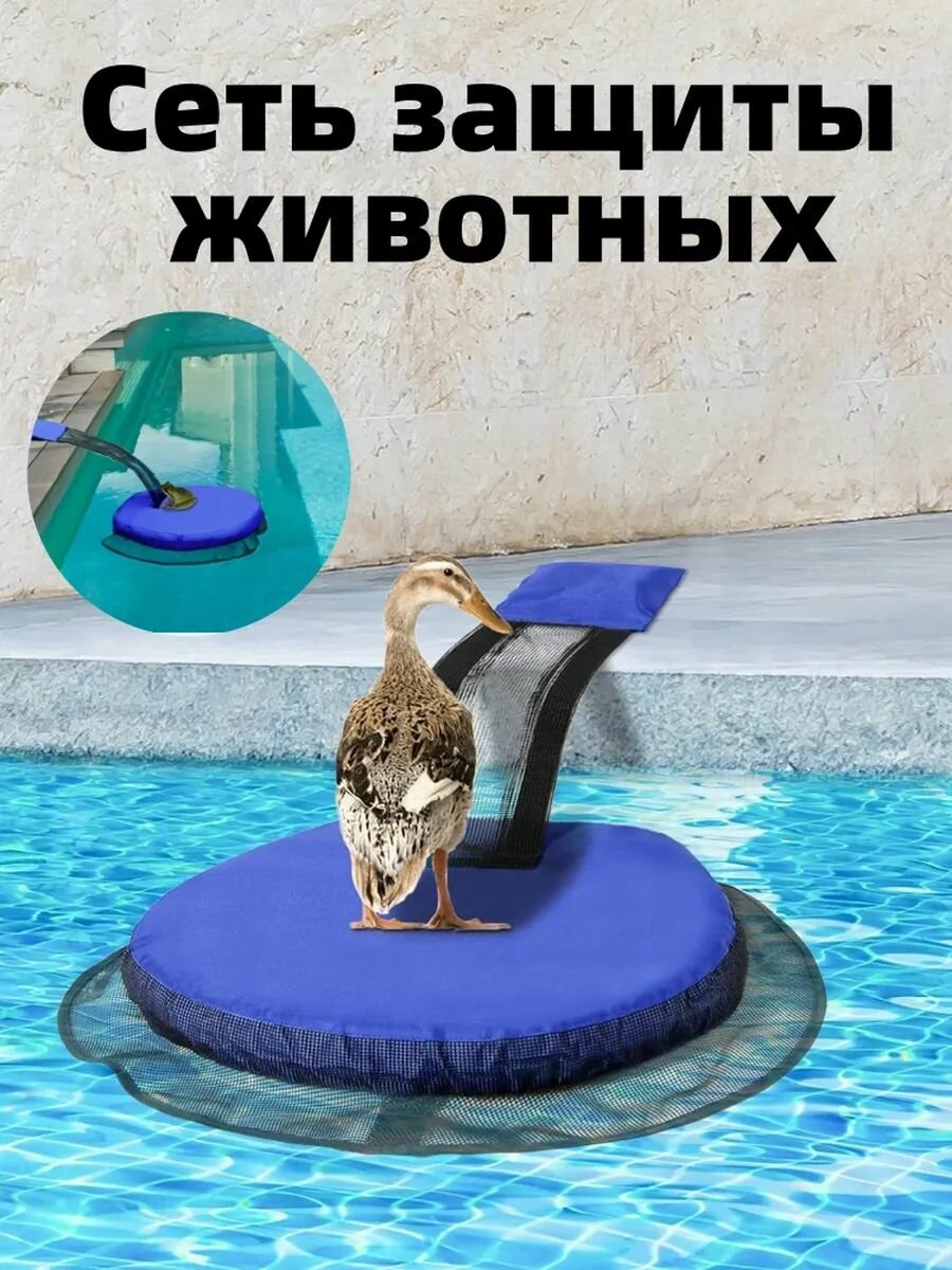 Пандус-платформа для спасения животных в бассейне, синий, плавающий, с рельефной поверхностью, для домашних питомцев