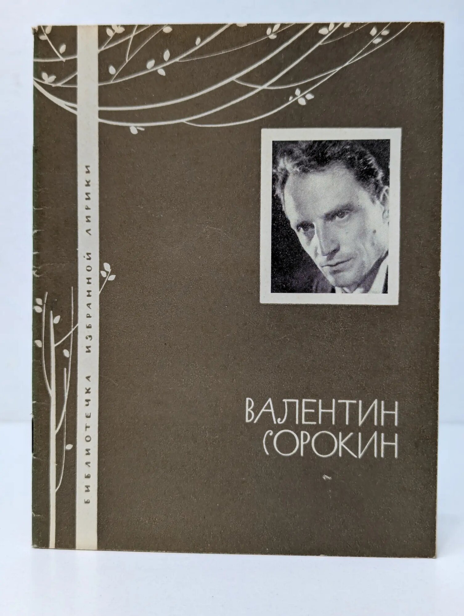 Библиотечка избранной лирики. Валентин Сорокин. Избранная лирика Сорокин Валентин Васильевич 1966