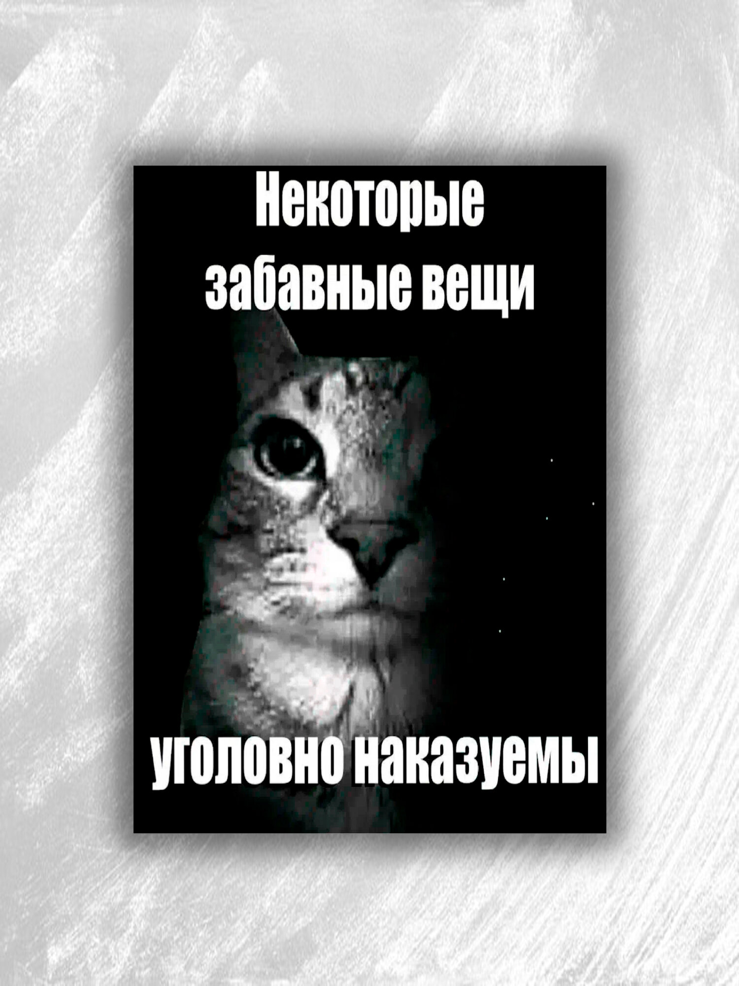 Плакат-мем "Кот-предупреждает" А4 (32 см х 23 см)