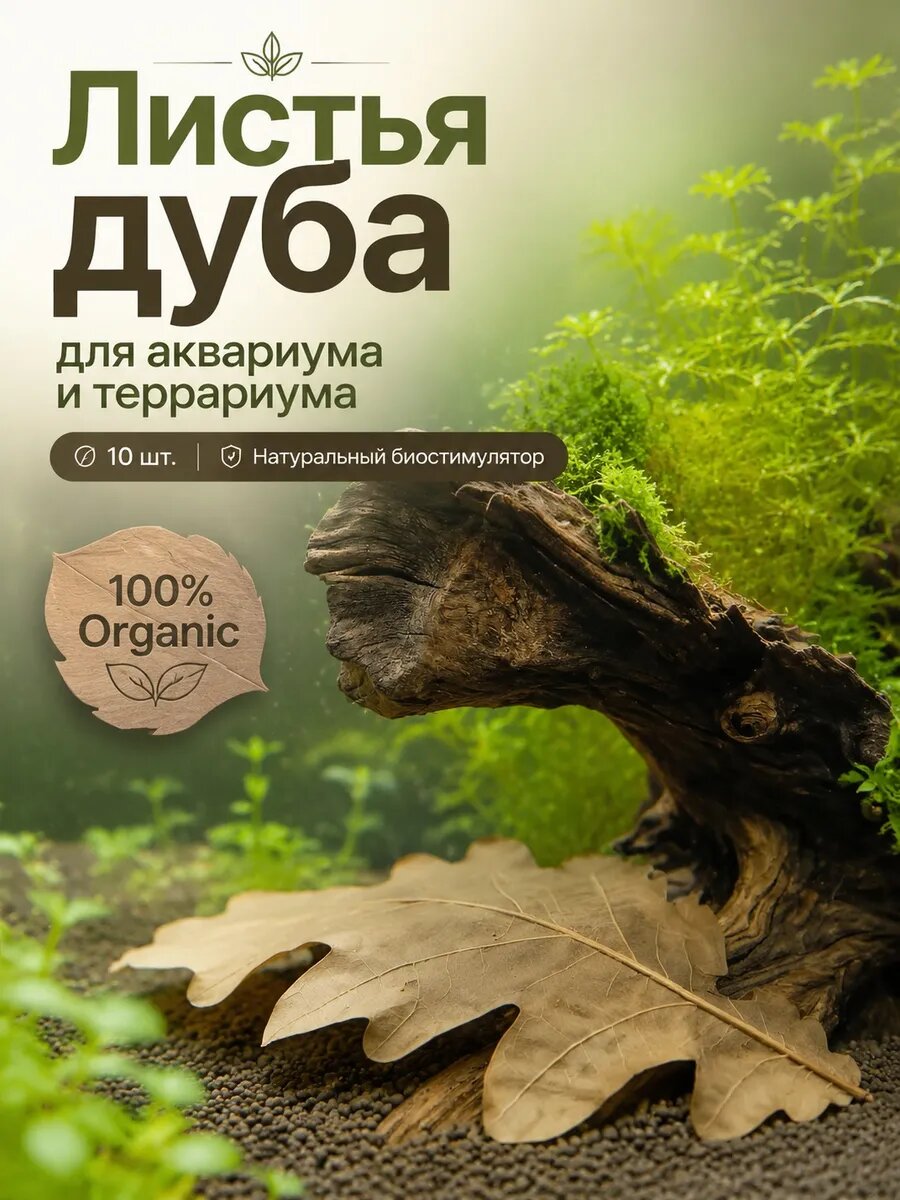 Листья дуба для понижения кислотности аквариума 10 шт