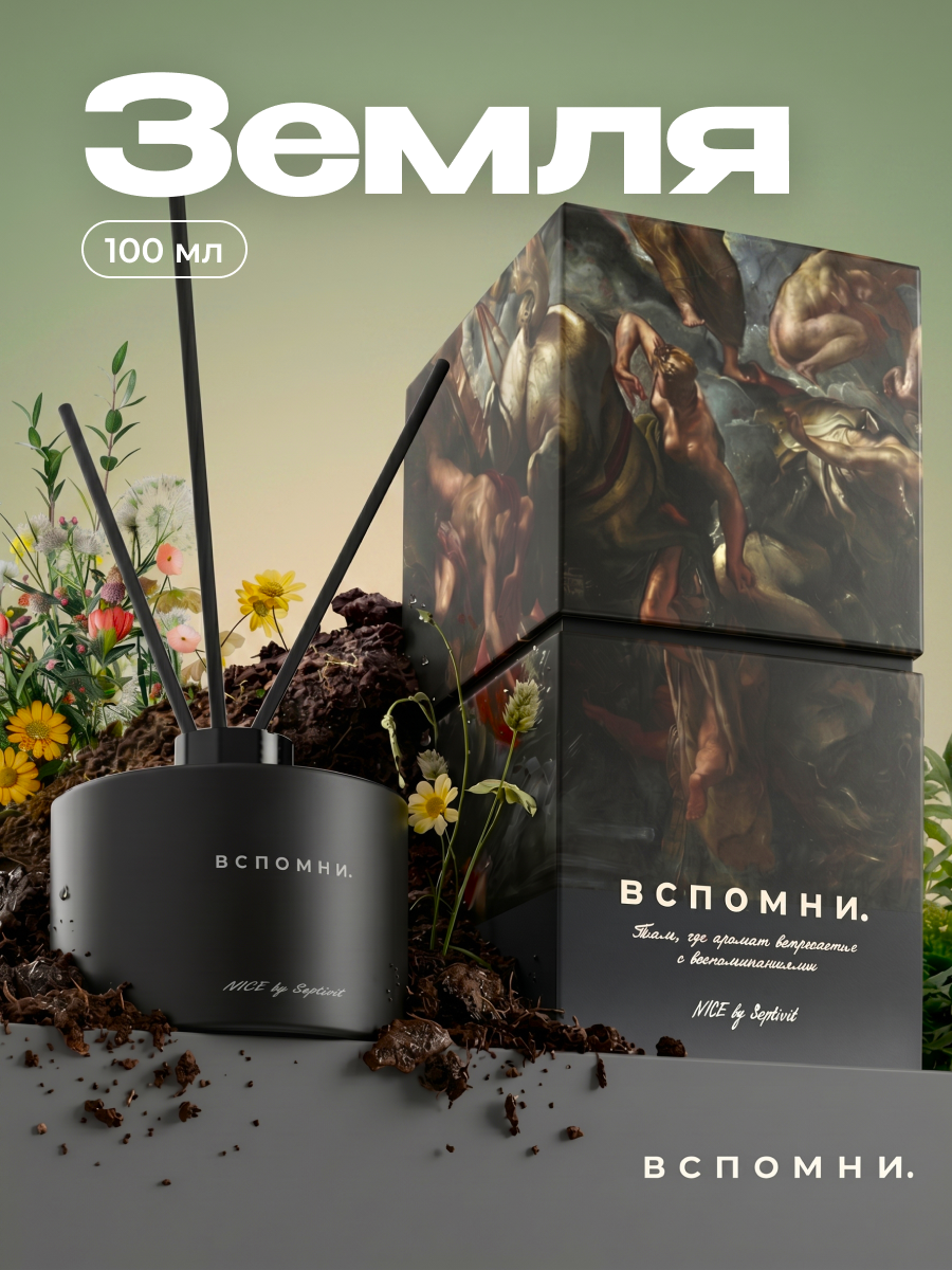 Вспомни Диффузор для дома с палочками парфюмированный,100 мл Земля