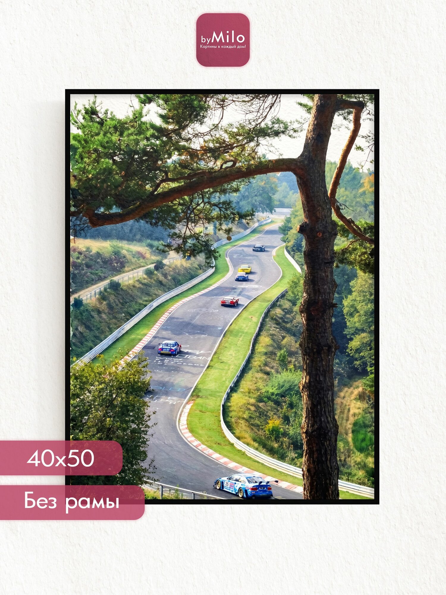 Постер на стену "Вираж", 40х50см