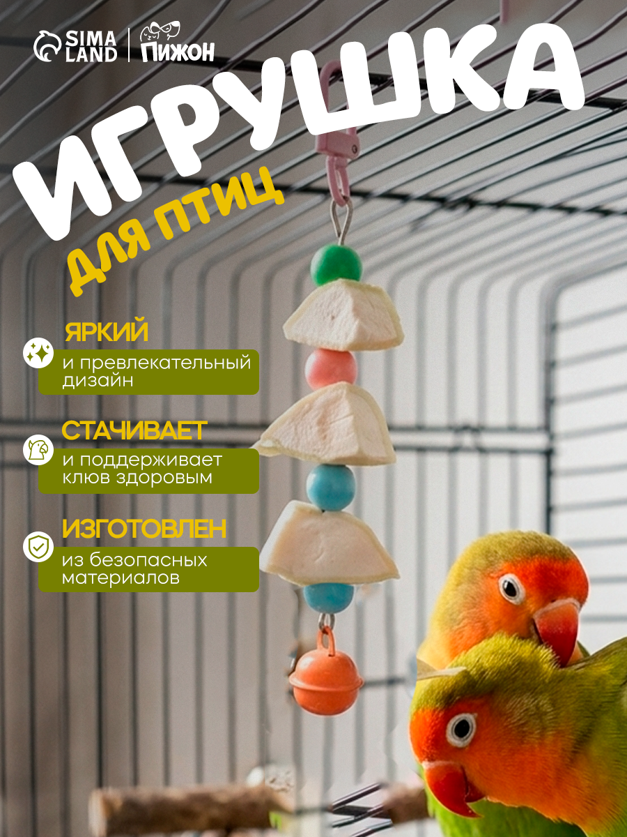 Игрушка для птиц с панцирем каракатицы и бусами, 9×3 см, цвет микс