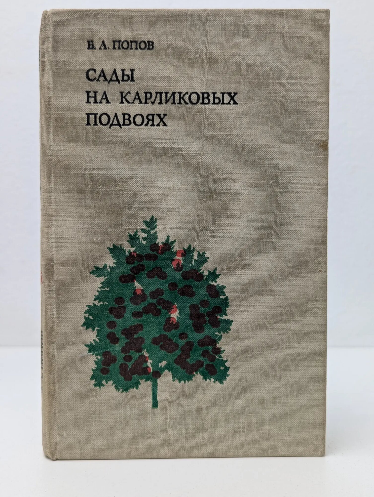 Сады на карликовых подвоях Попов Борис Александрович 1976