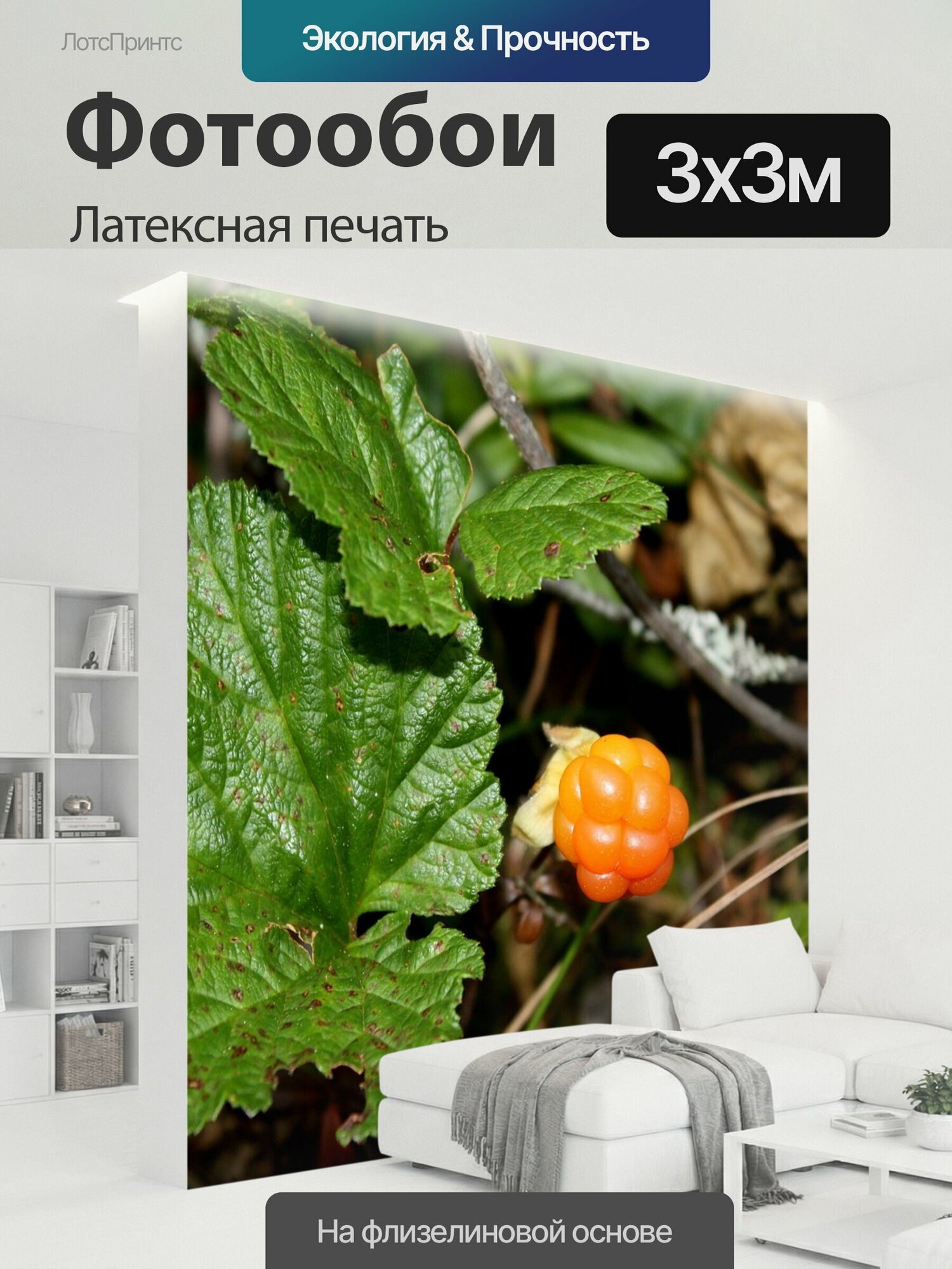 Фотообои моющиеся ударопрочные "Морошка, польский, болото" 300x300 см. латексная печать
