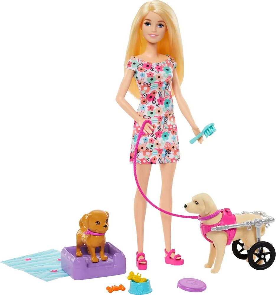 Игровой набор Barbie с собакой-инвалидом HTK37