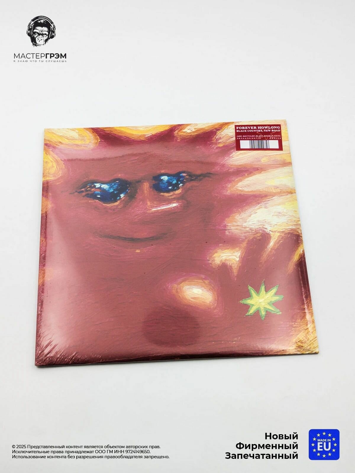 Виниловая пластинка New Road Black Country - Forever Howlong (2LP) 2025