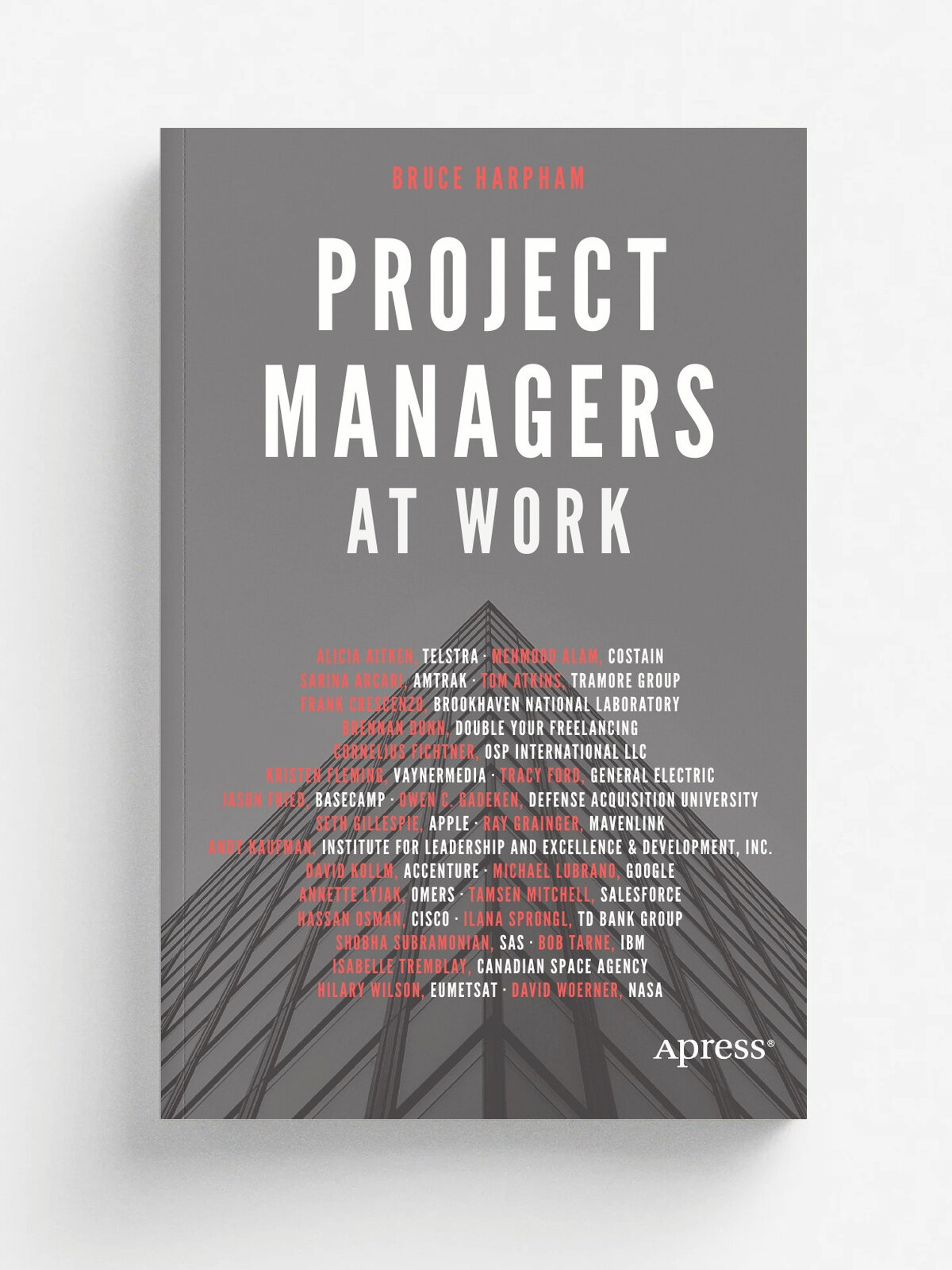 Project Managers at Work