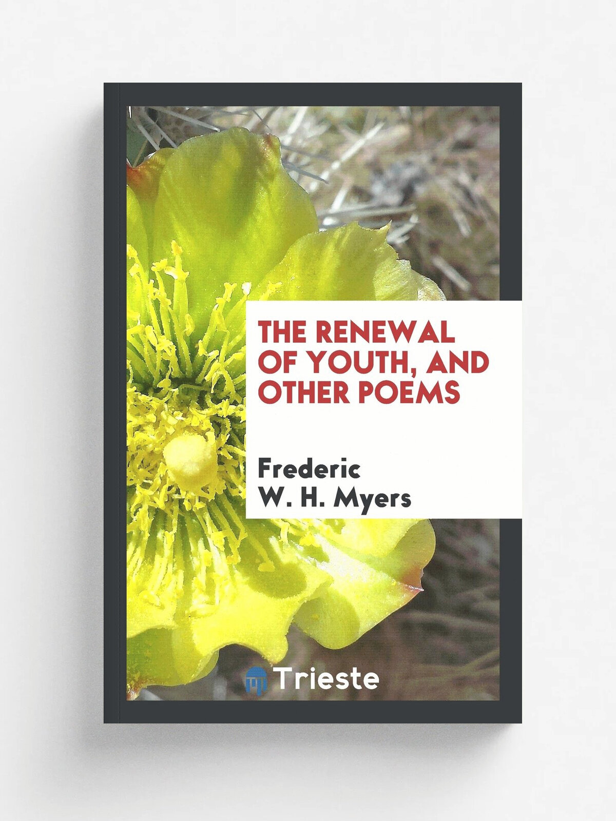 The renewal of youth, and other poems