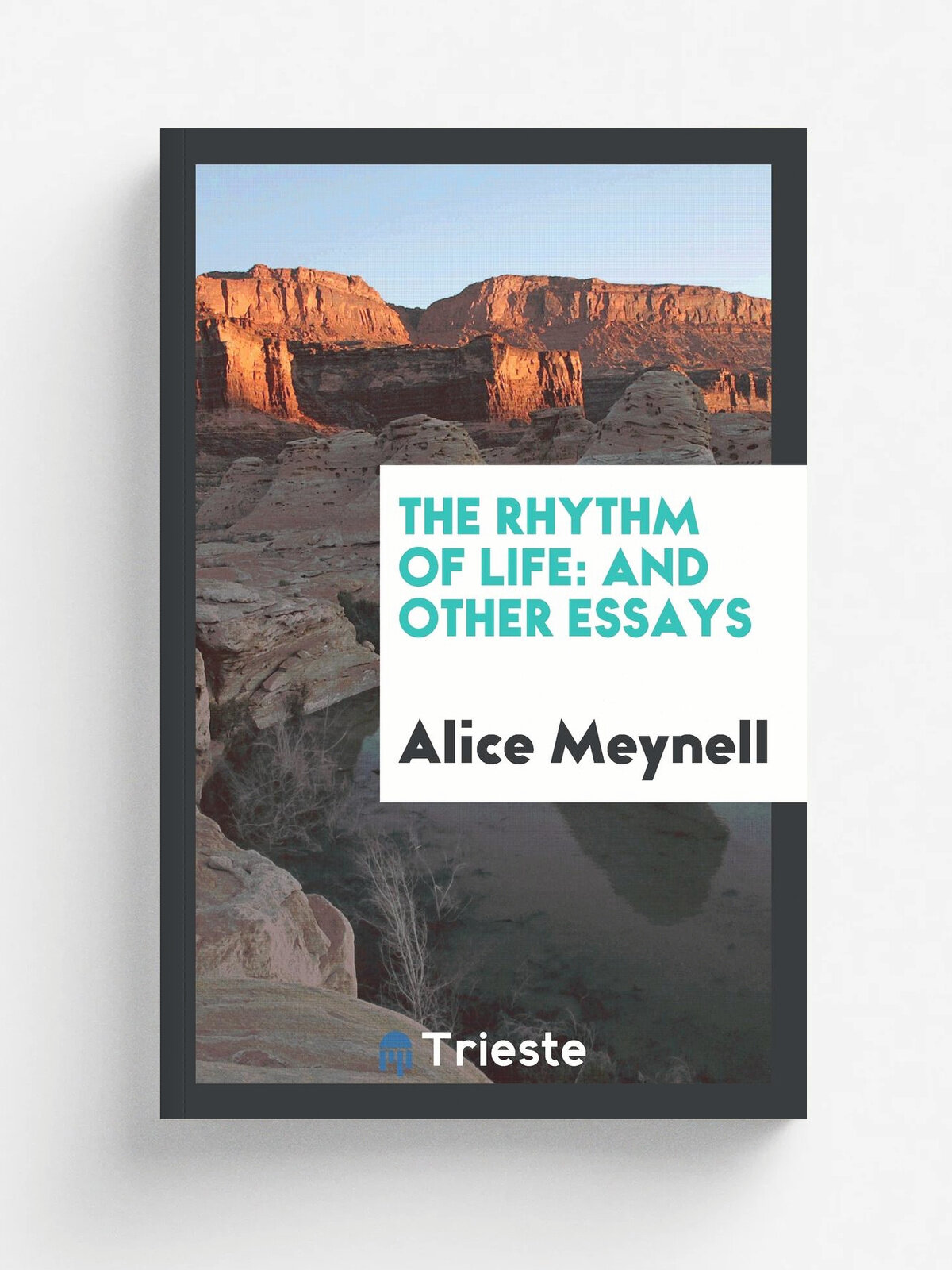 The Rhythm of Life. And Other Essays