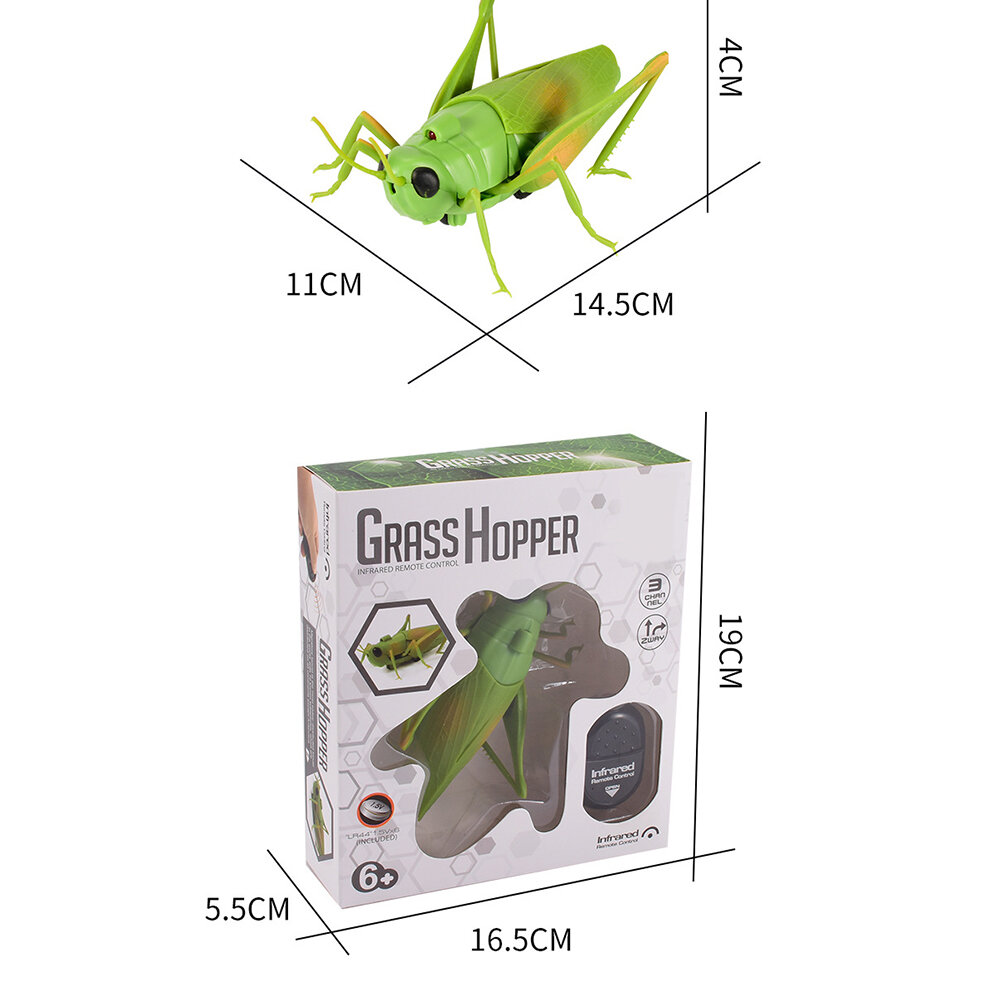 Набор Из 1 Штуки Игрушка С Grasshopper Для Развлечений В Семье И Детей Зеленый 14 5X11 см