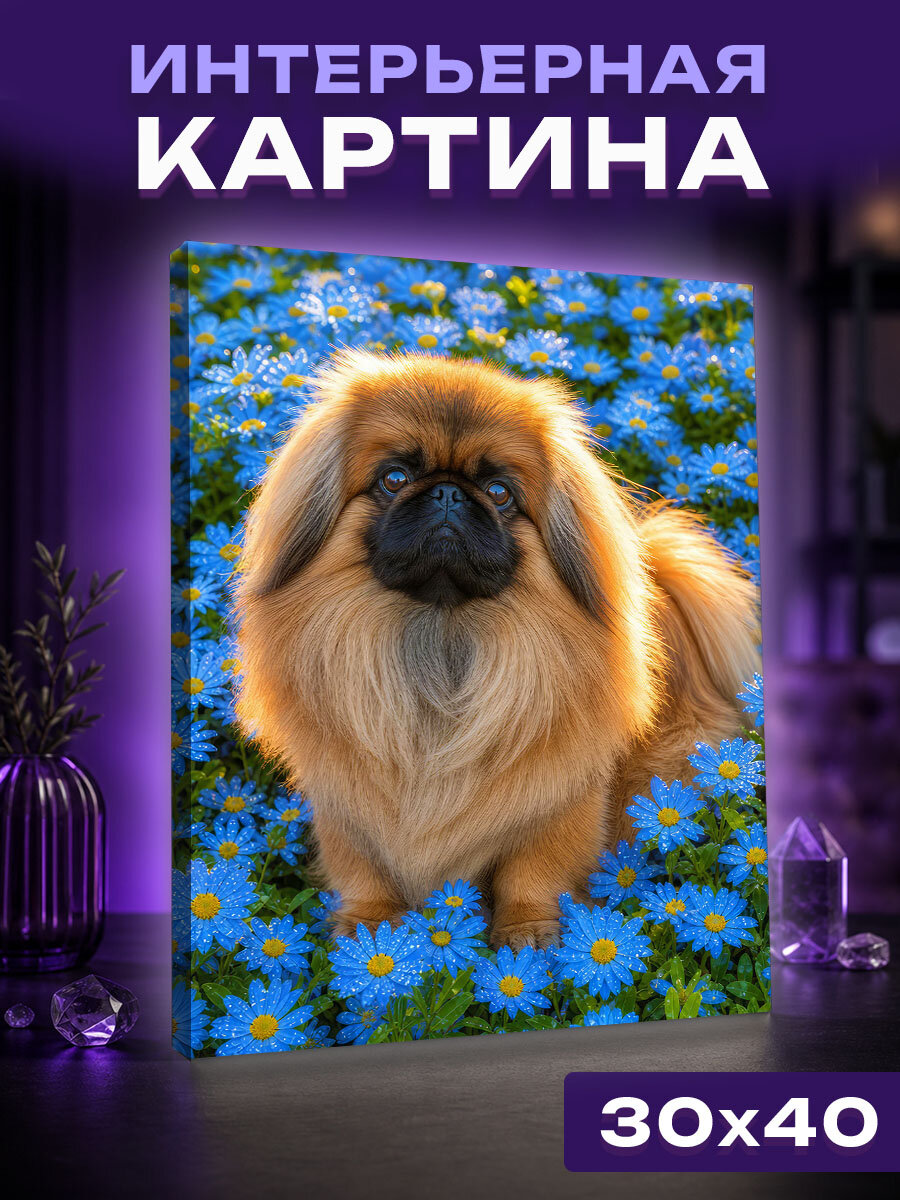 Интерьерная картина пекинес на ковре из ярко-синих маргариток