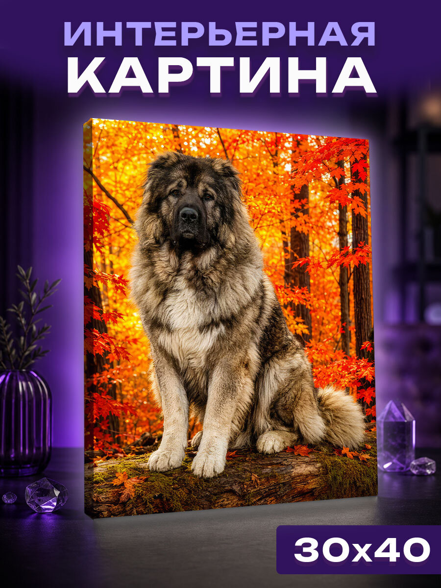 Интерьерная картина Кавказская овчарка среди кленовых листьев