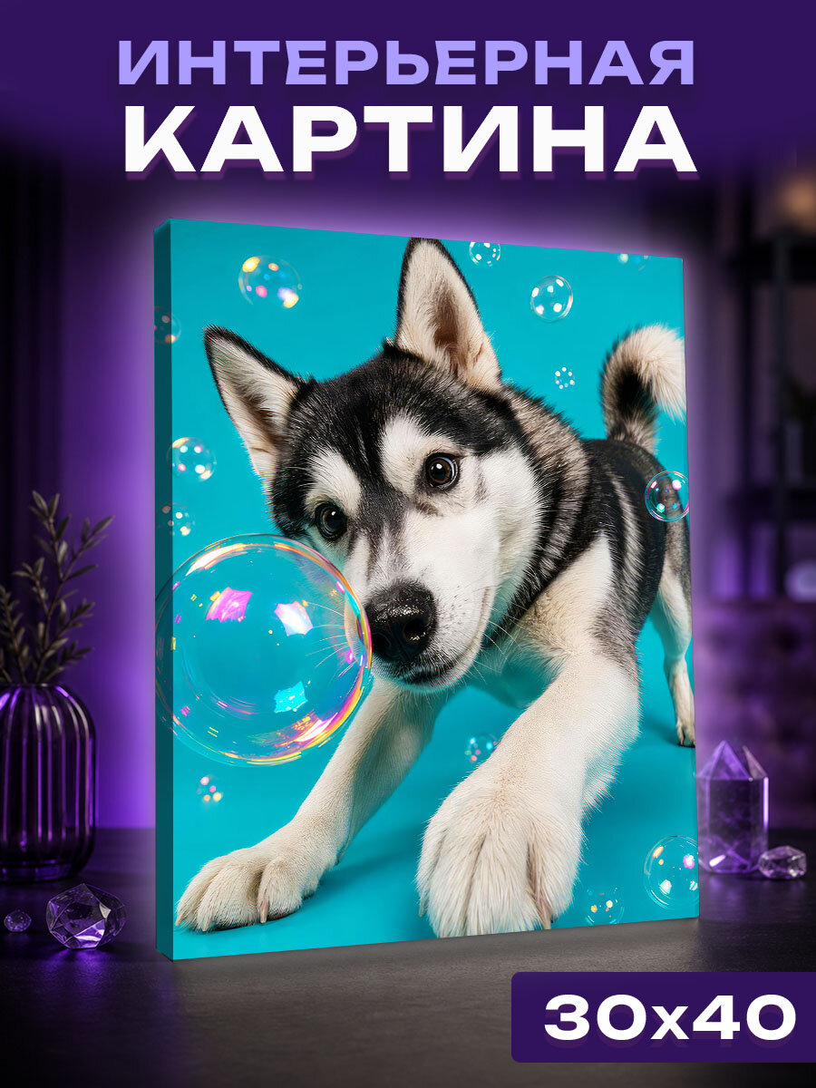 Интерьерная картина Хаски ловит глянцевые мыльные пузыри