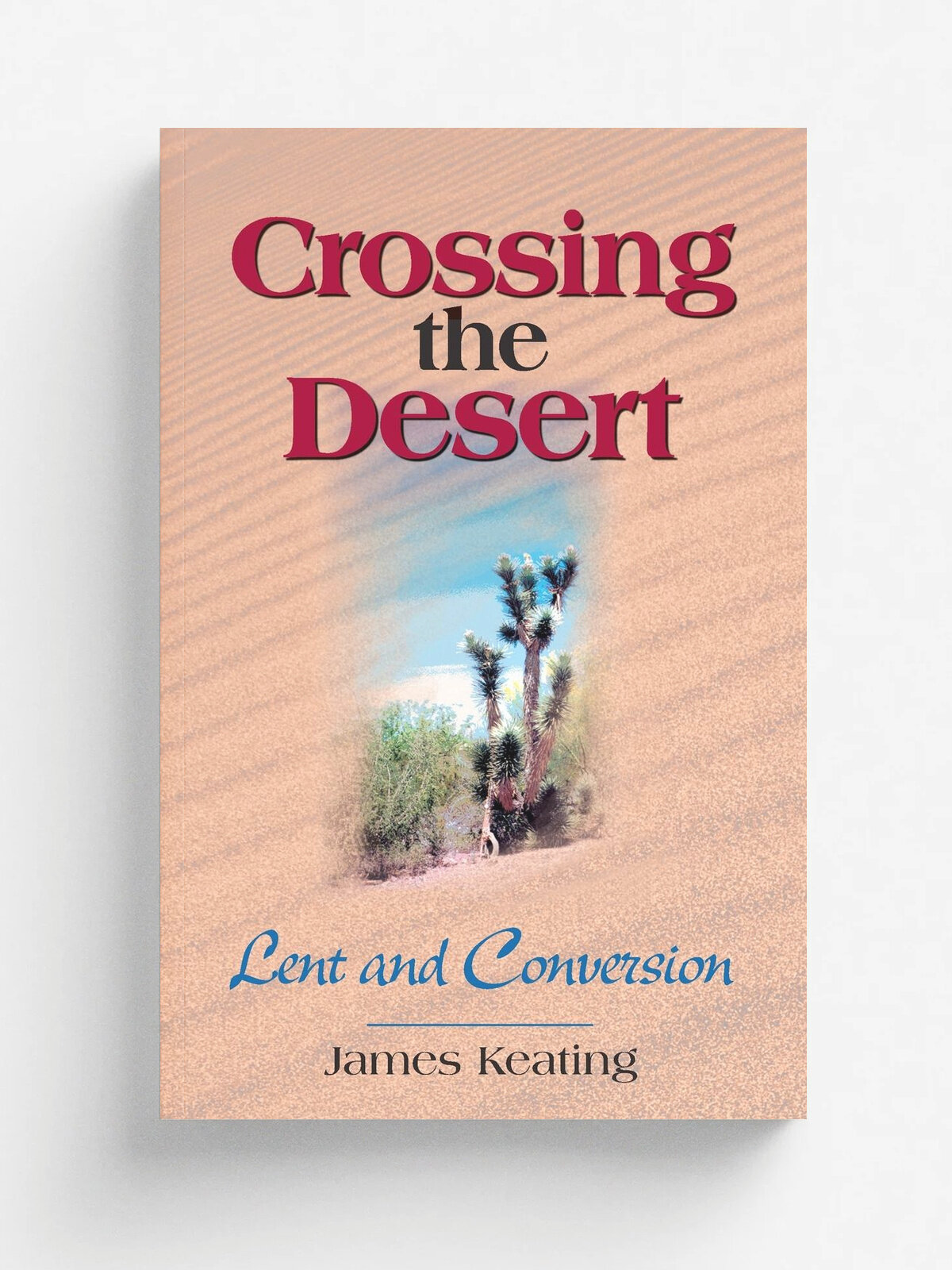 Crossing the Desert. Lent and Conversion