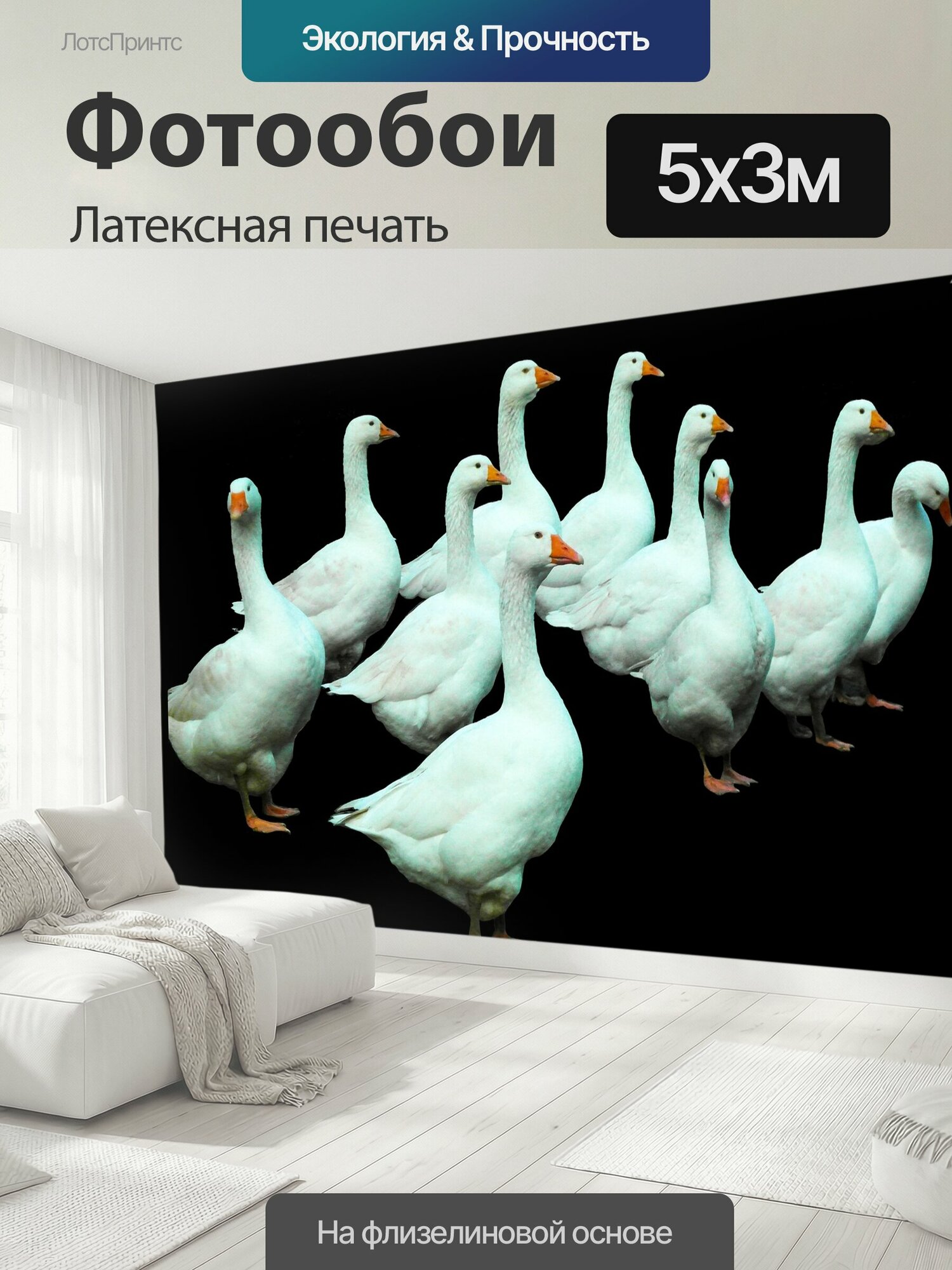 Фотообои моющиеся ударопрочные "Гуси, домашняя птица, белый" 500x300 см. латексная печать
