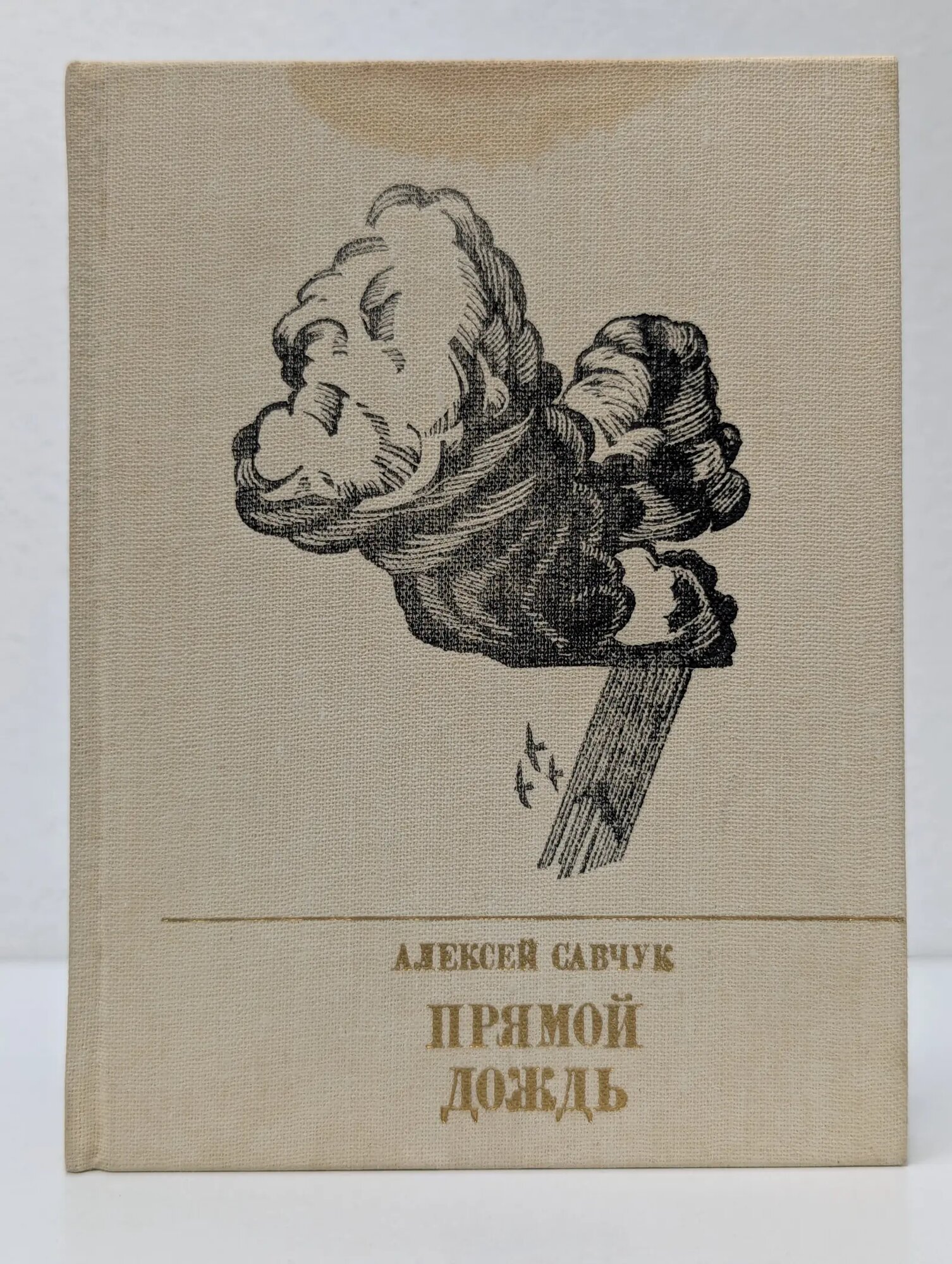 Пламенные революционеры. Прямой дождь Савчук Алексей Иванович 1984
