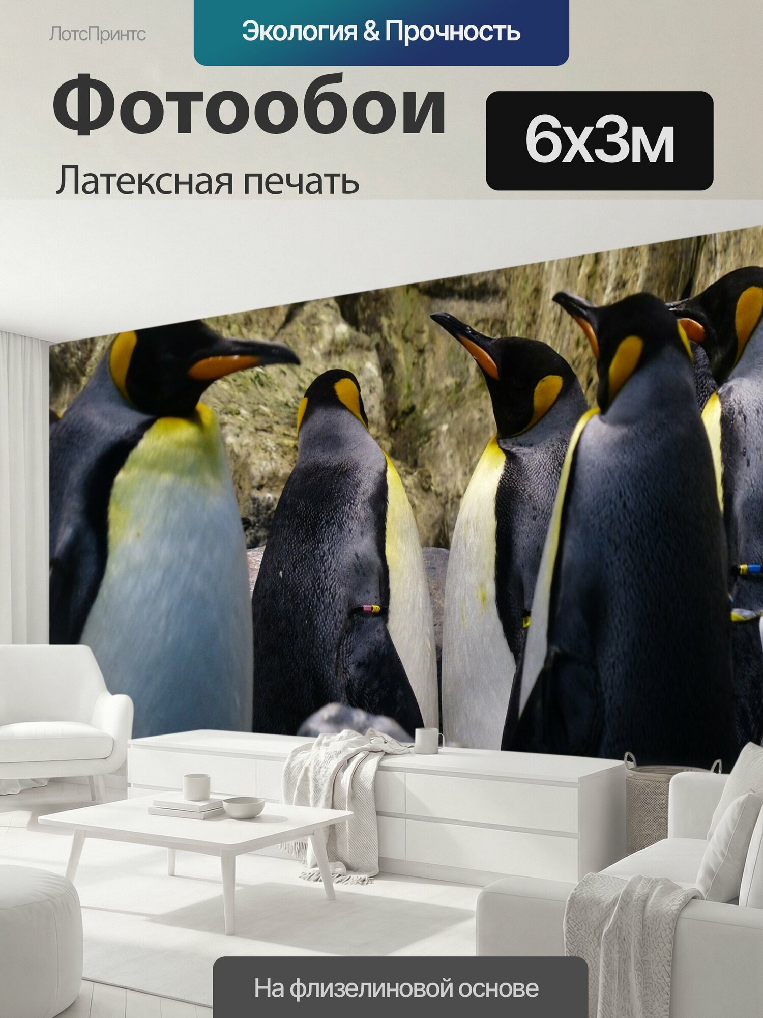 Фотообои моющиеся ударопрочные "Королевские пингвины, пингвины, aptenodytes patagonicus" 600x300 см. латексная печать