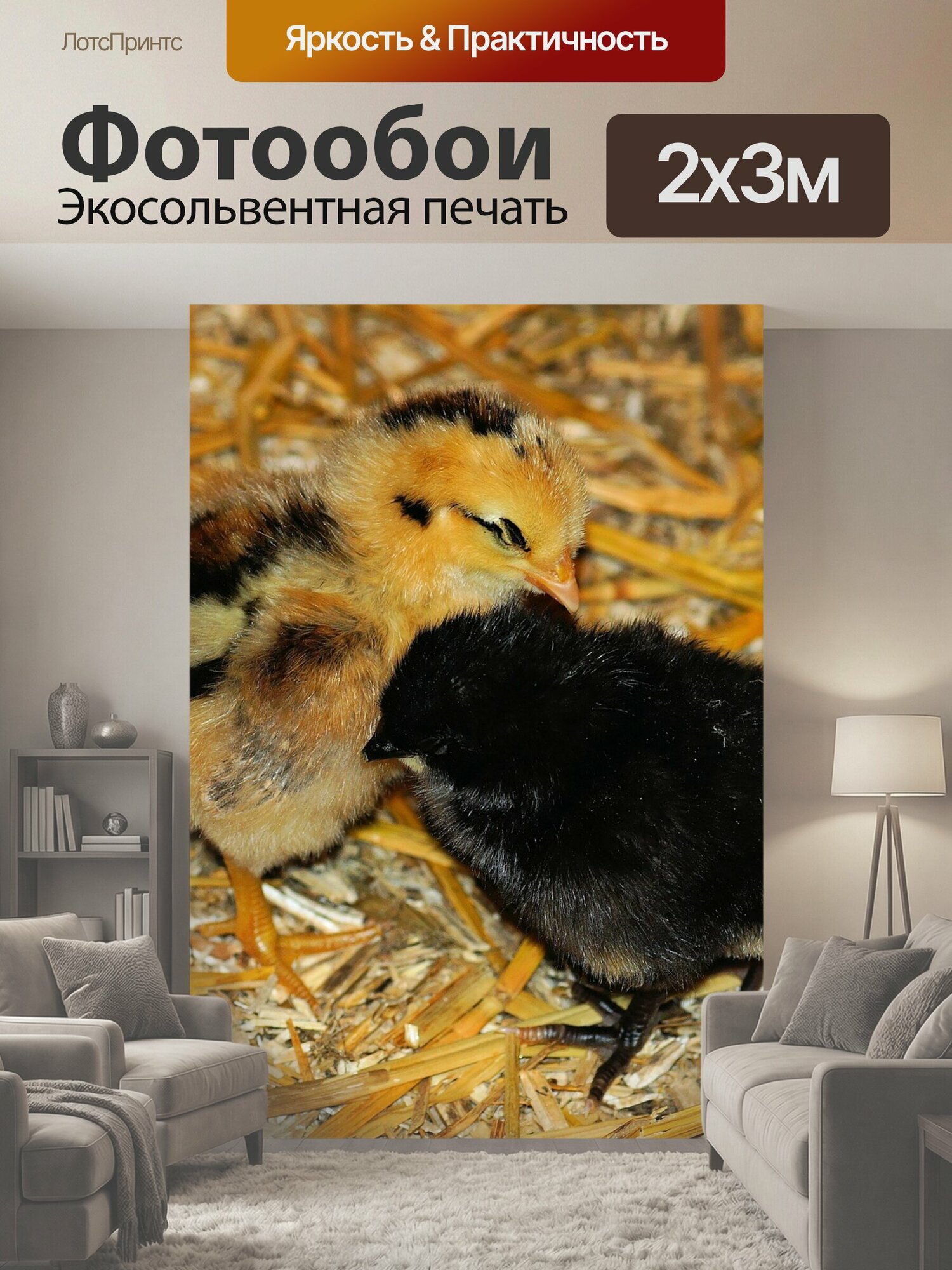 Фотообои "Курица, цыпленок, пушистый" 200x300 см. экосольвентная печать