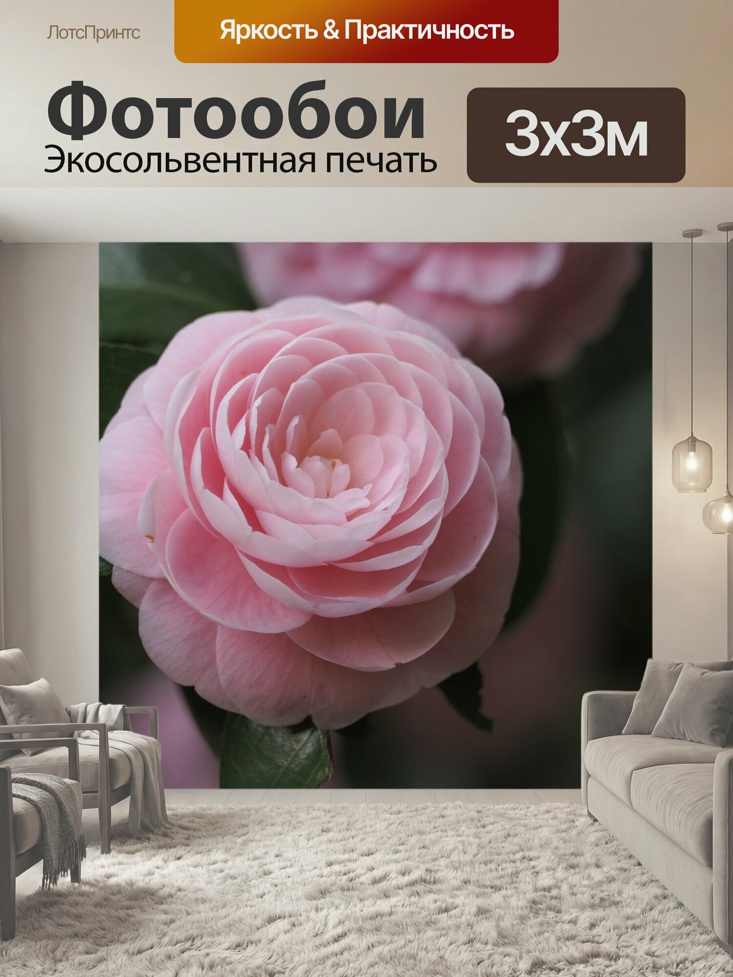 Фотообои "Камелия, цветы, розовый" 300x300 см. экосольвентная печать