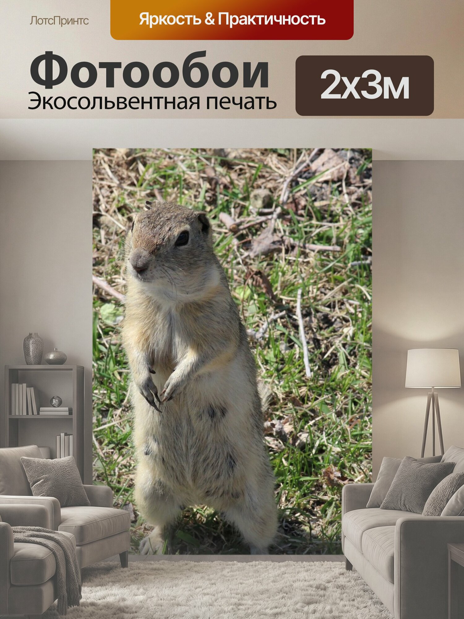 Фотообои "Суслик, ричардсон суслик, животное" 200x300 см. экосольвентная печать