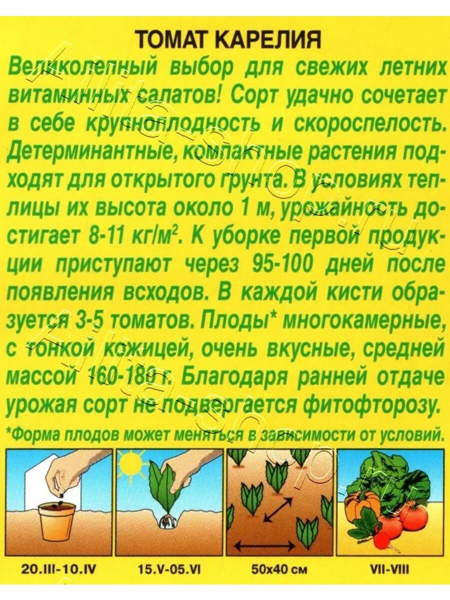Семена "Томат Карелия" — фото 1