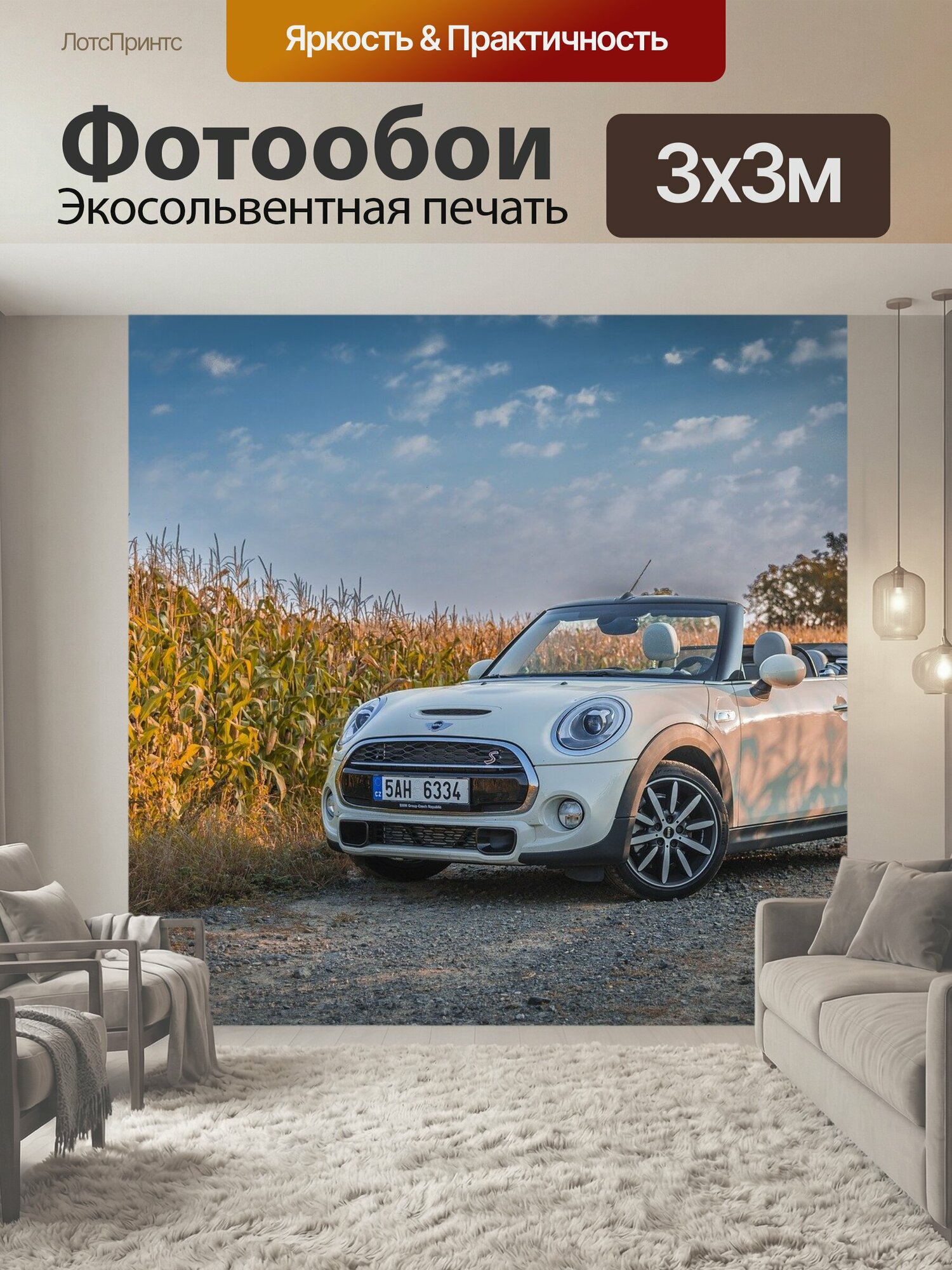 Фотообои "Мини, кабриолет, mini cooper" 300x300 см. экосольвентная печать