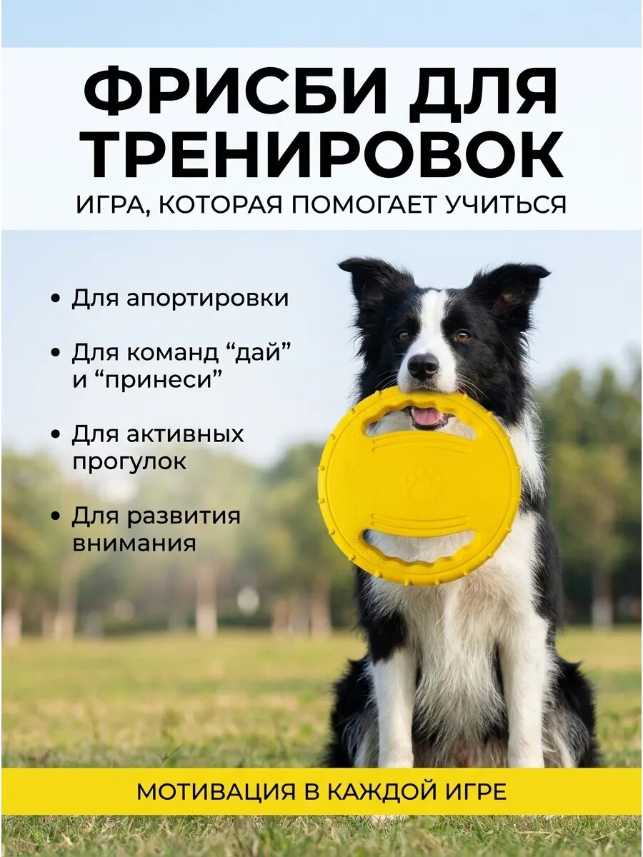 Пуллер для собак "Фрисби", для прогулок и апортировки, яркий жёлтый