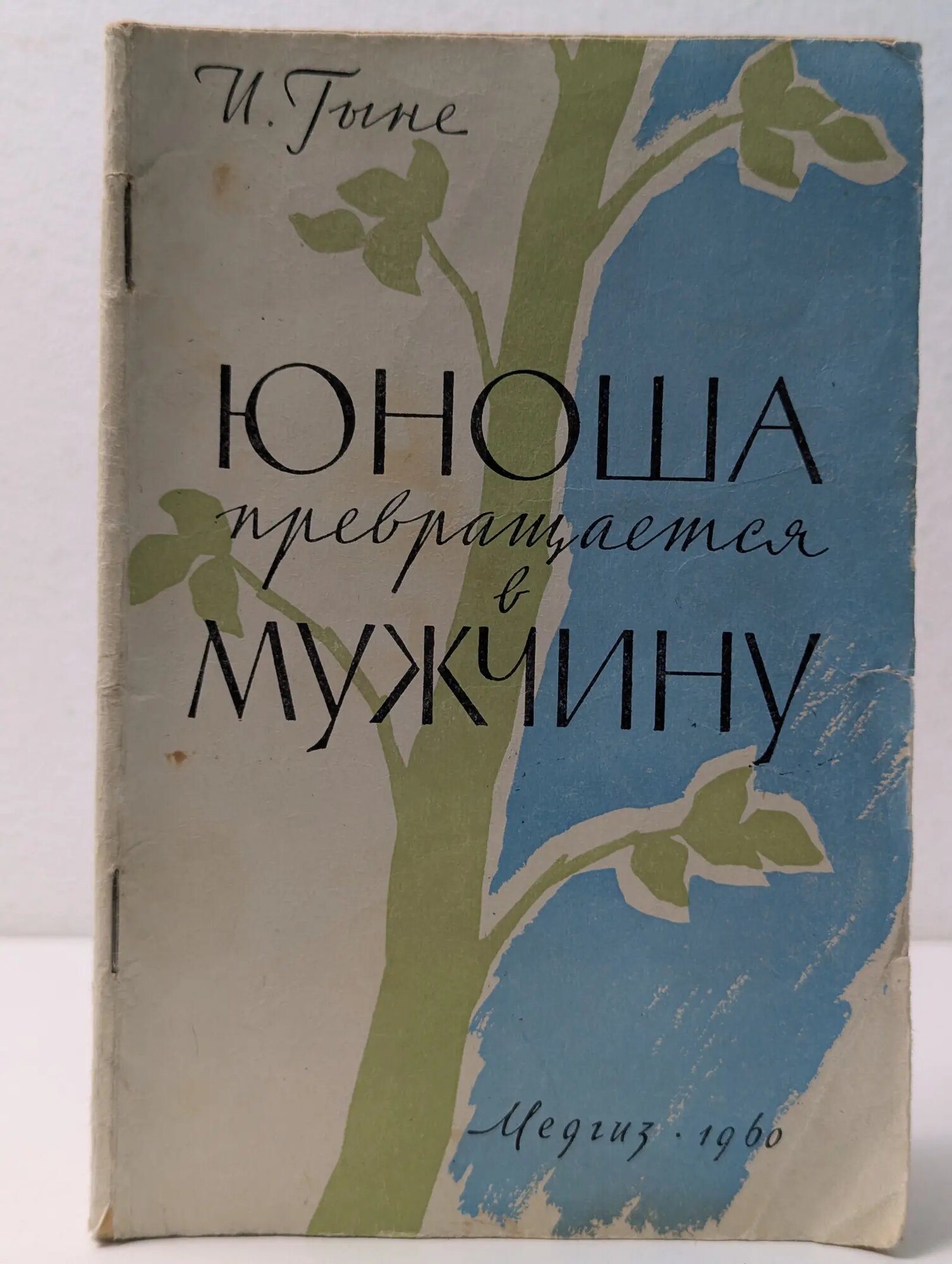 Юноша превращается в мужчину Гыне Иосиф 1960