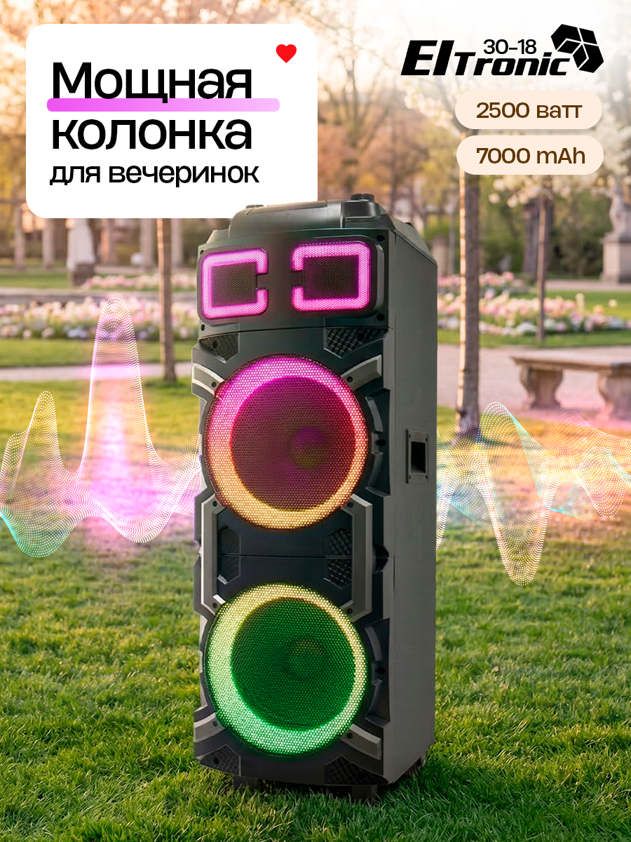 Колонка беспроводная ELtronic 30-18 с 2мя микрофонами, FM-радио и функцией TWS