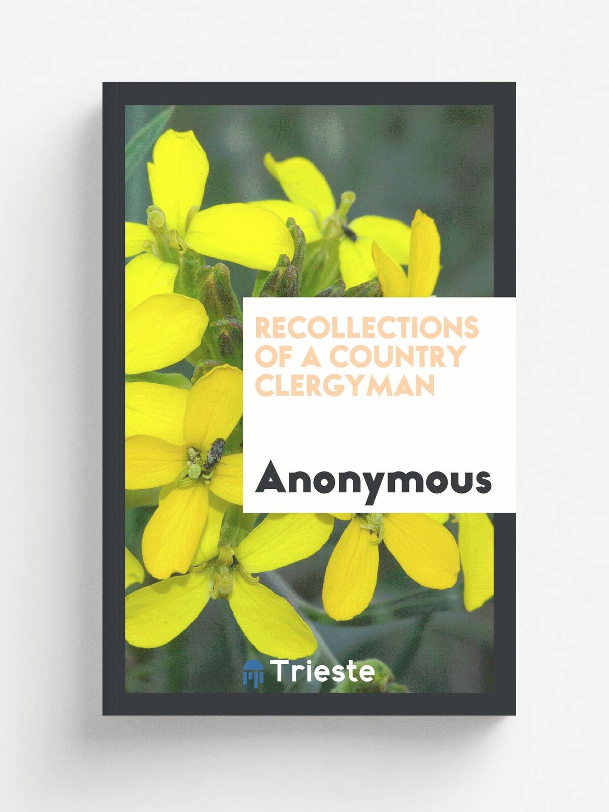 Recollections of a Country Clergyman